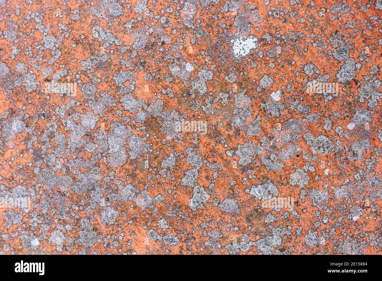 Terracotta texture hi-res stock photography and images - Alamy