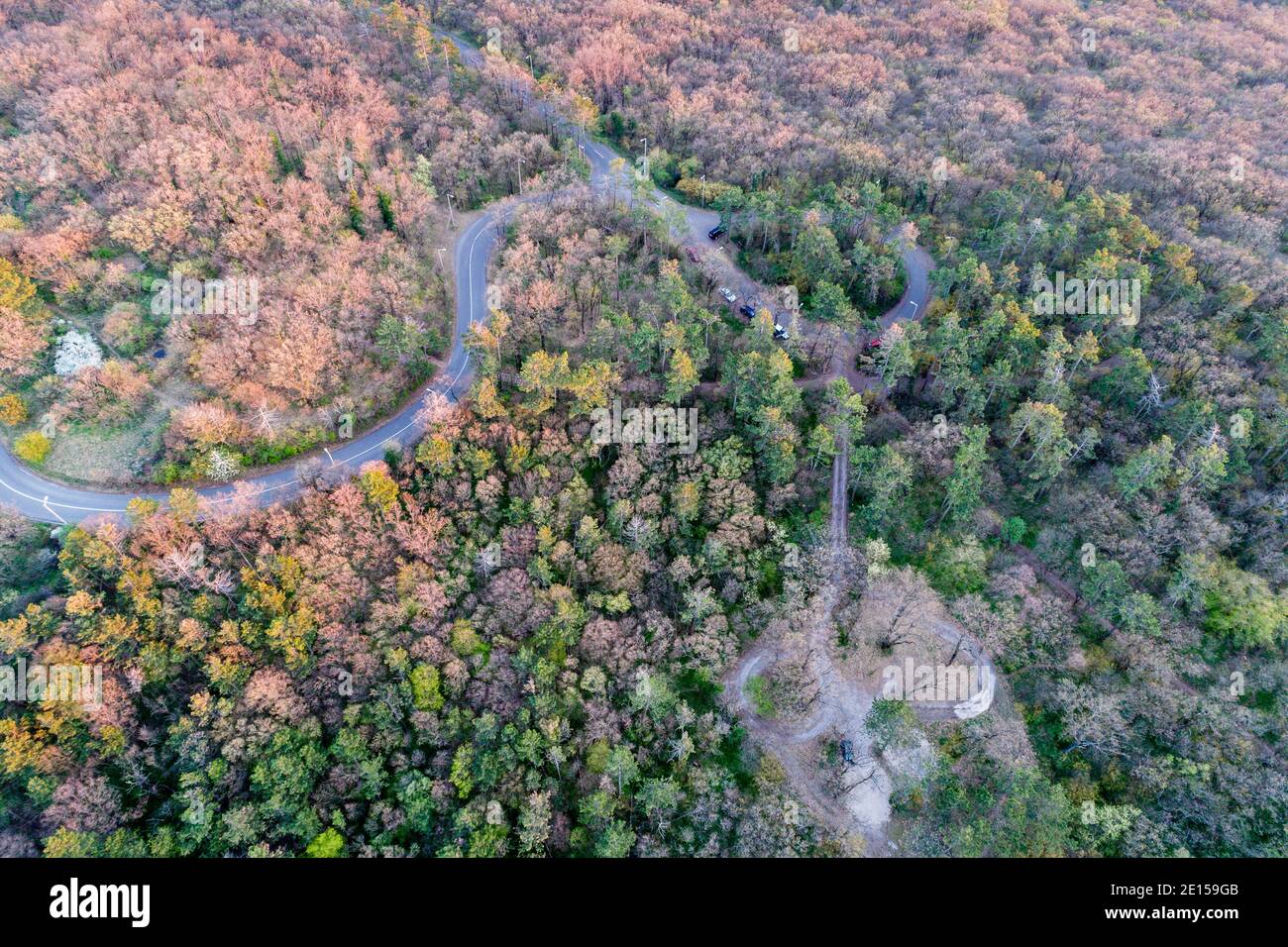 Aerial view, Road in a forest Stock Photo - Alamy
