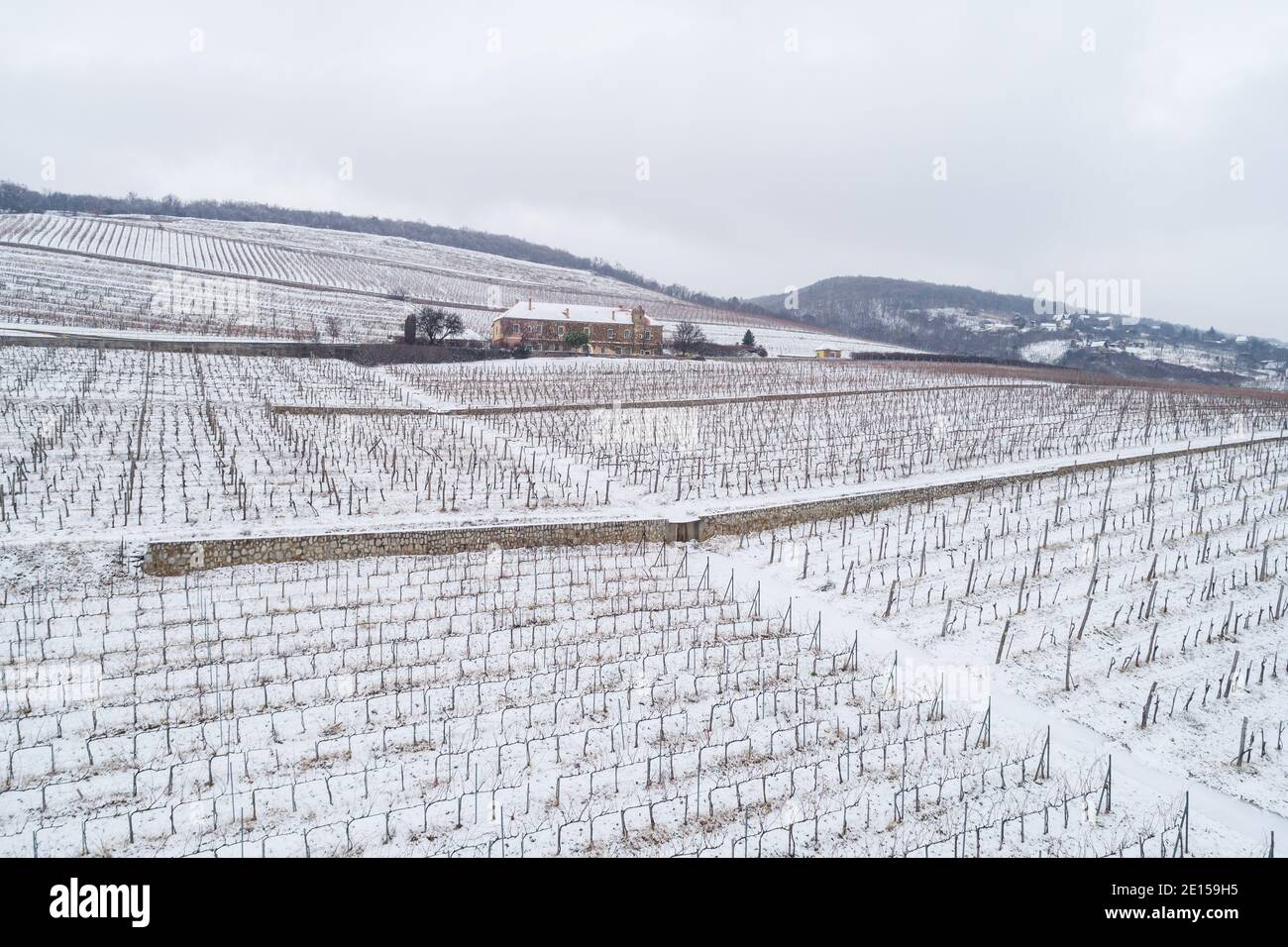 aerial photo of Vineyard in winter time with snow Stock Photo - Alamy