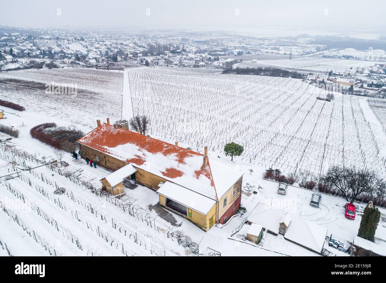 aerial photo of Vineyard in winter time with snow Stock Photo - Alamy
