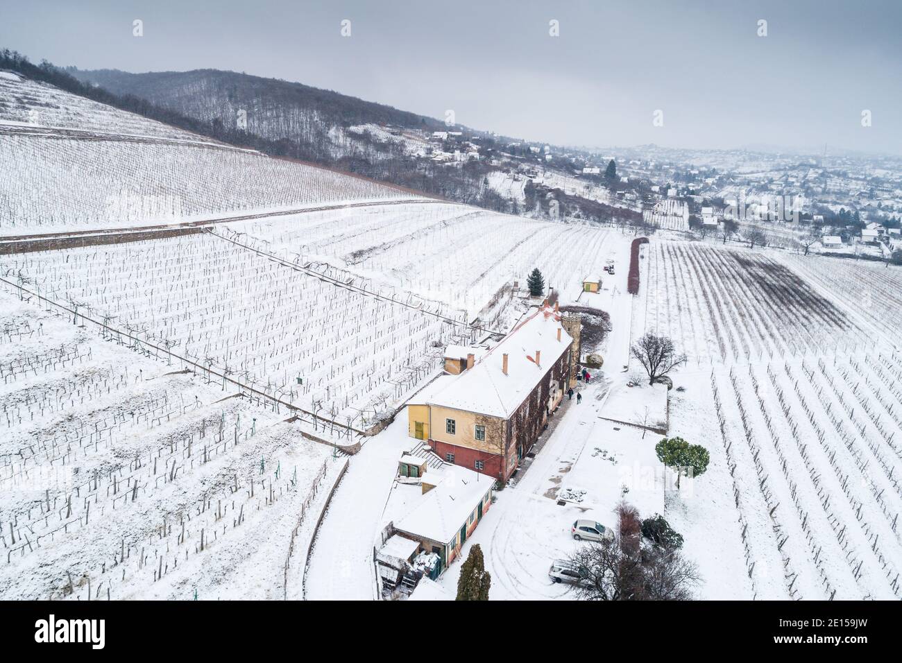 aerial photo of Vineyard in winter time with snow Stock Photo - Alamy