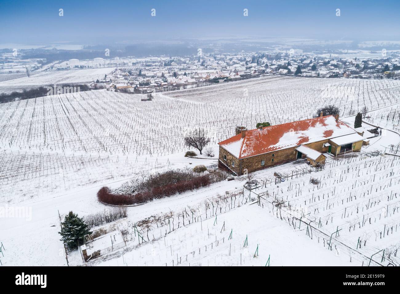 aerial photo of Vineyard in winter time with snow Stock Photo - Alamy