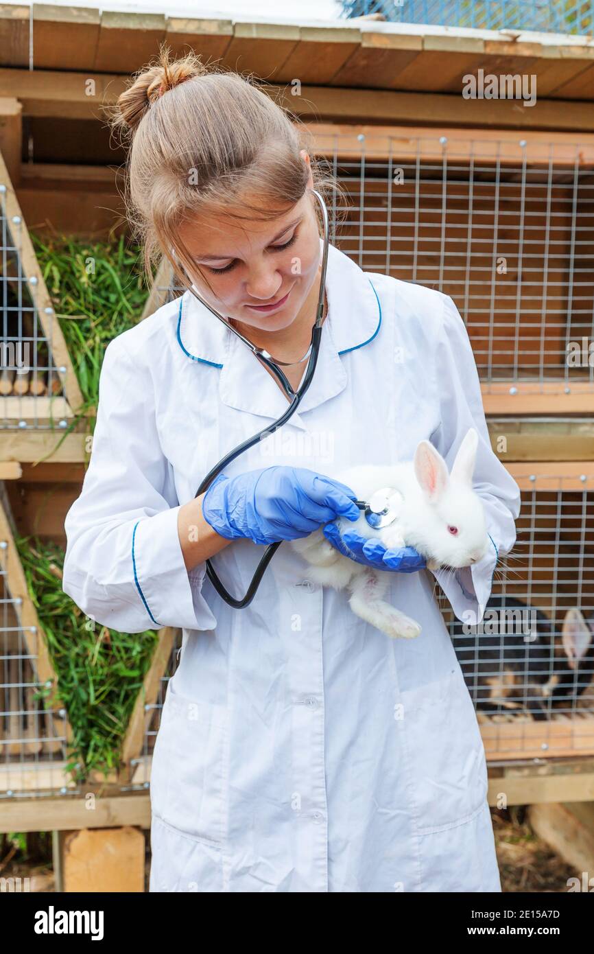 Happy young veterinarian woman with stethoscope holding and examining ...