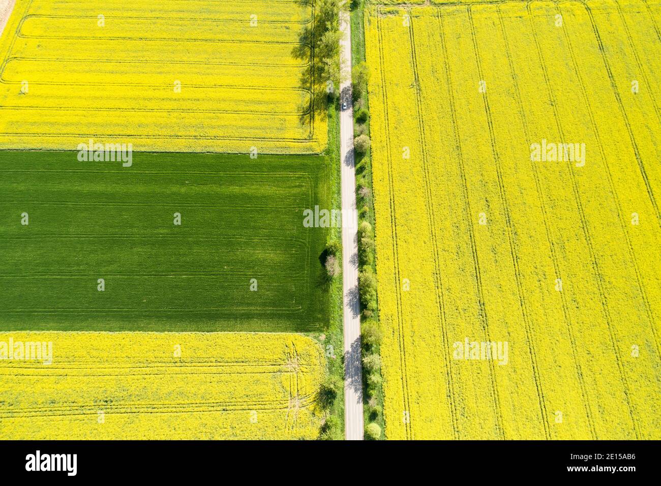 Aerial view of colorful yellow spring crop of canola Stock Photo - Alamy