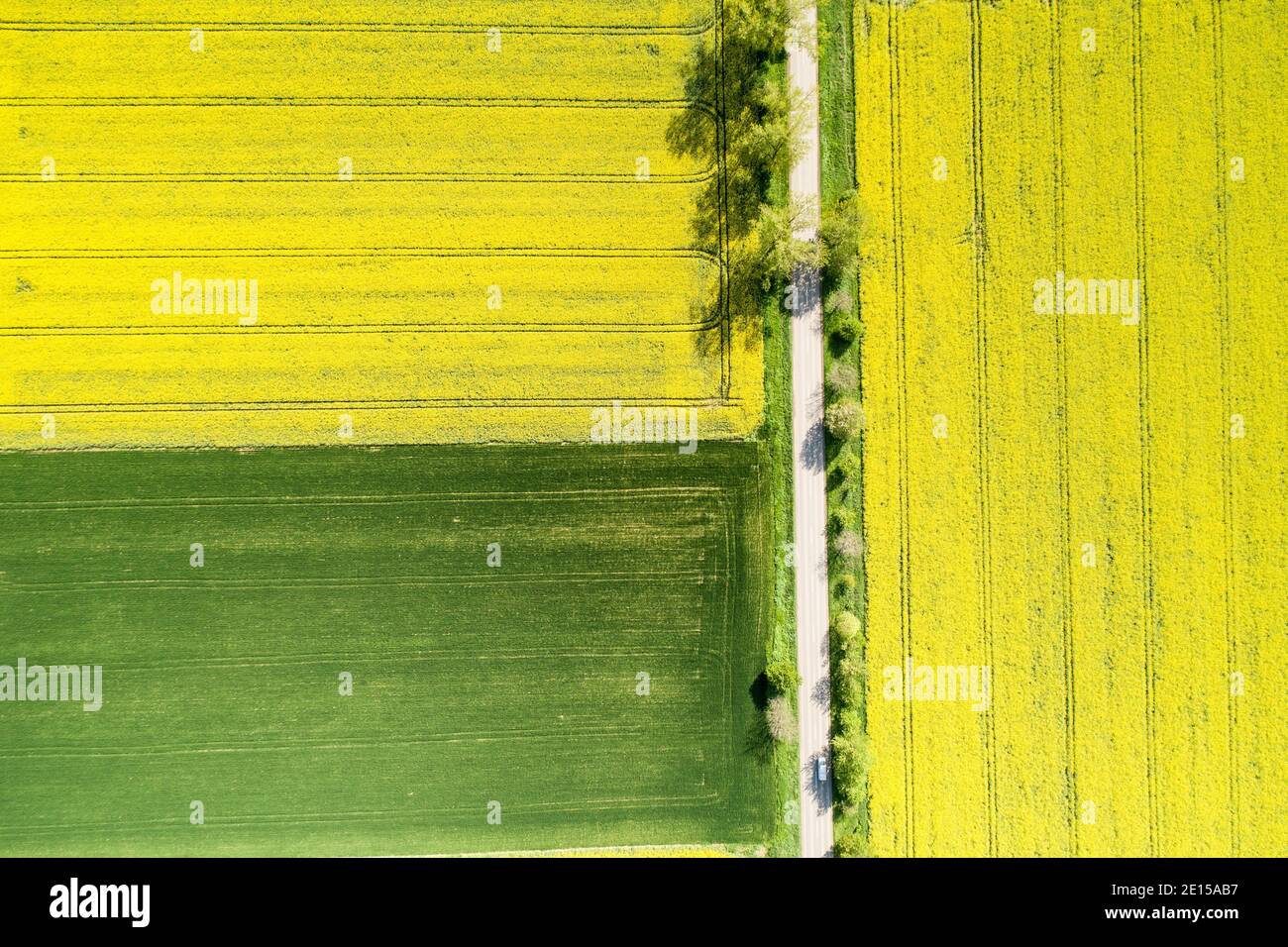 Aerial view of colorful yellow spring crop of canola Stock Photo - Alamy