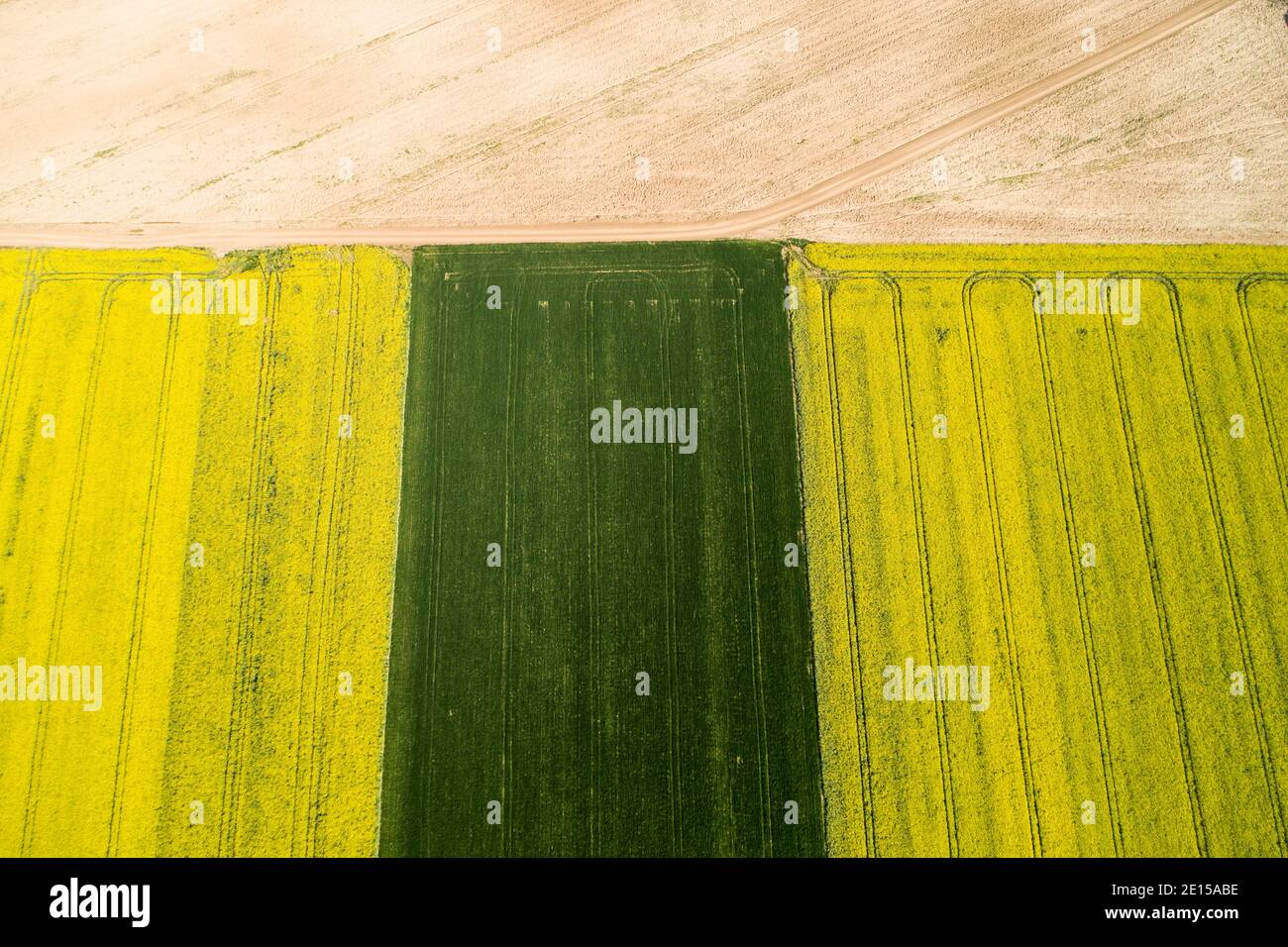Aerial view of colorful yellow spring crop of canola Stock Photo - Alamy