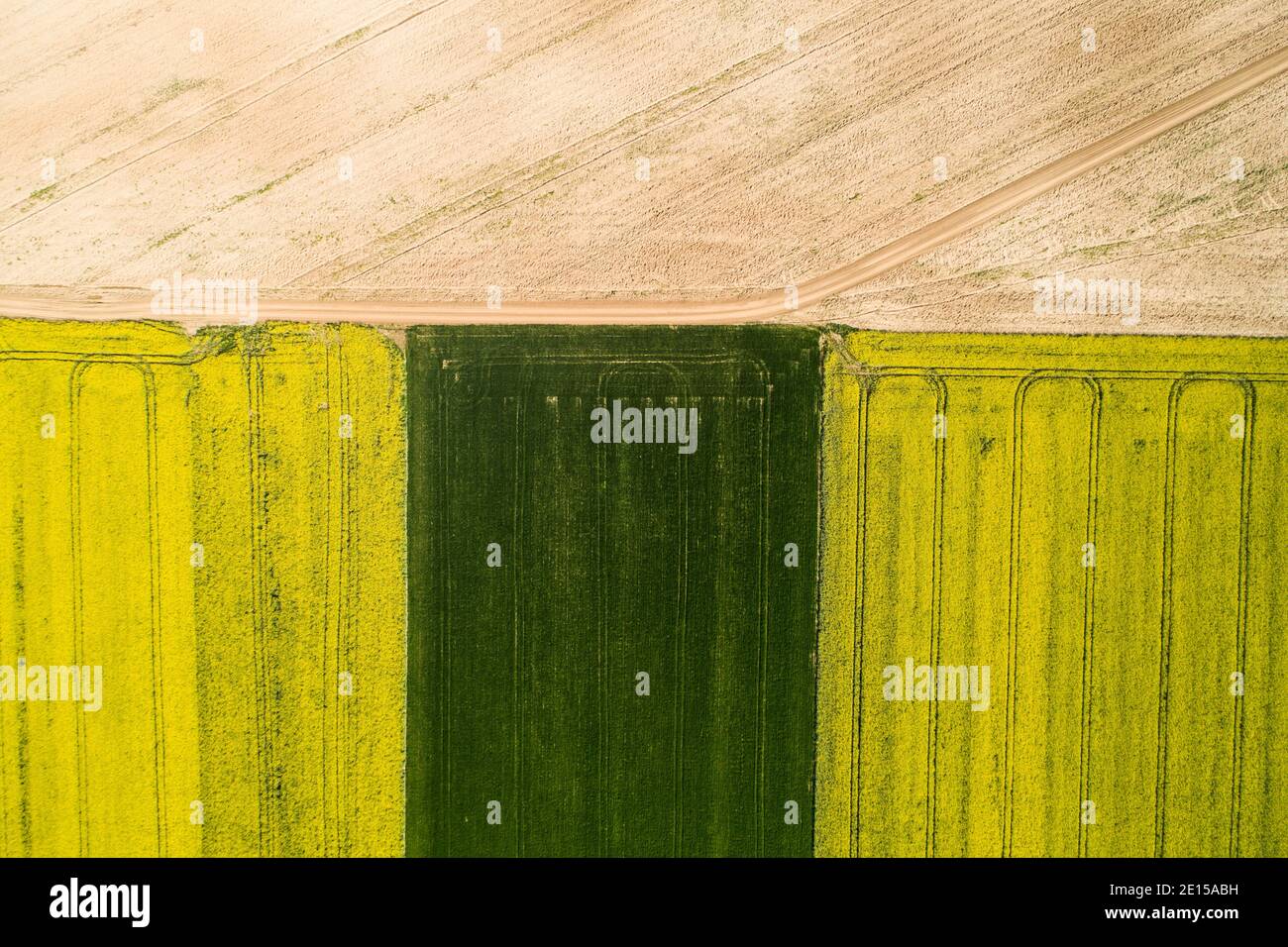 Aerial view of colorful yellow spring crop of canola Stock Photo - Alamy
