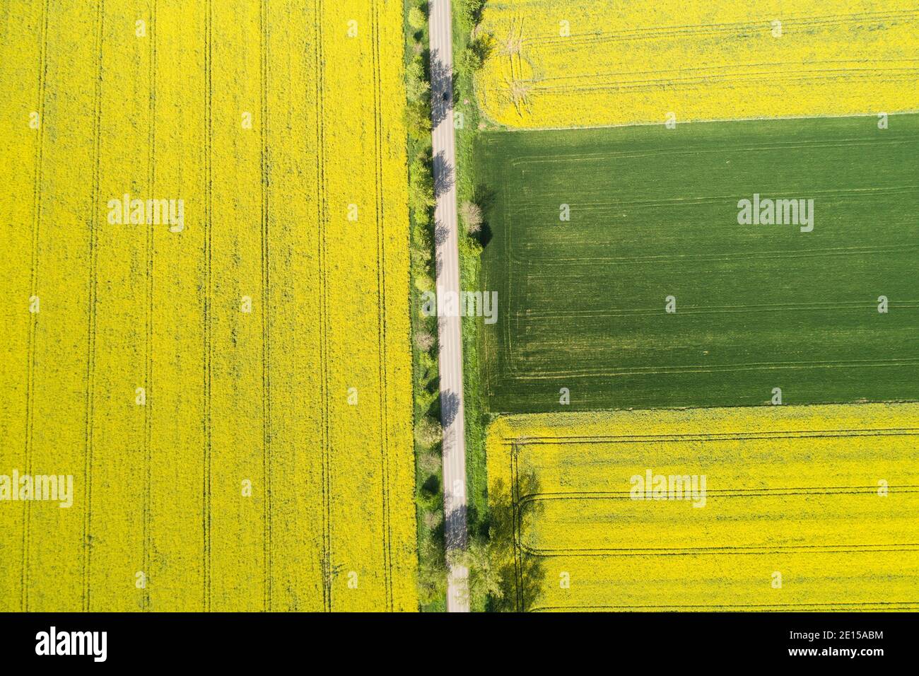 Aerial view of colorful yellow spring crop of canola Stock Photo - Alamy