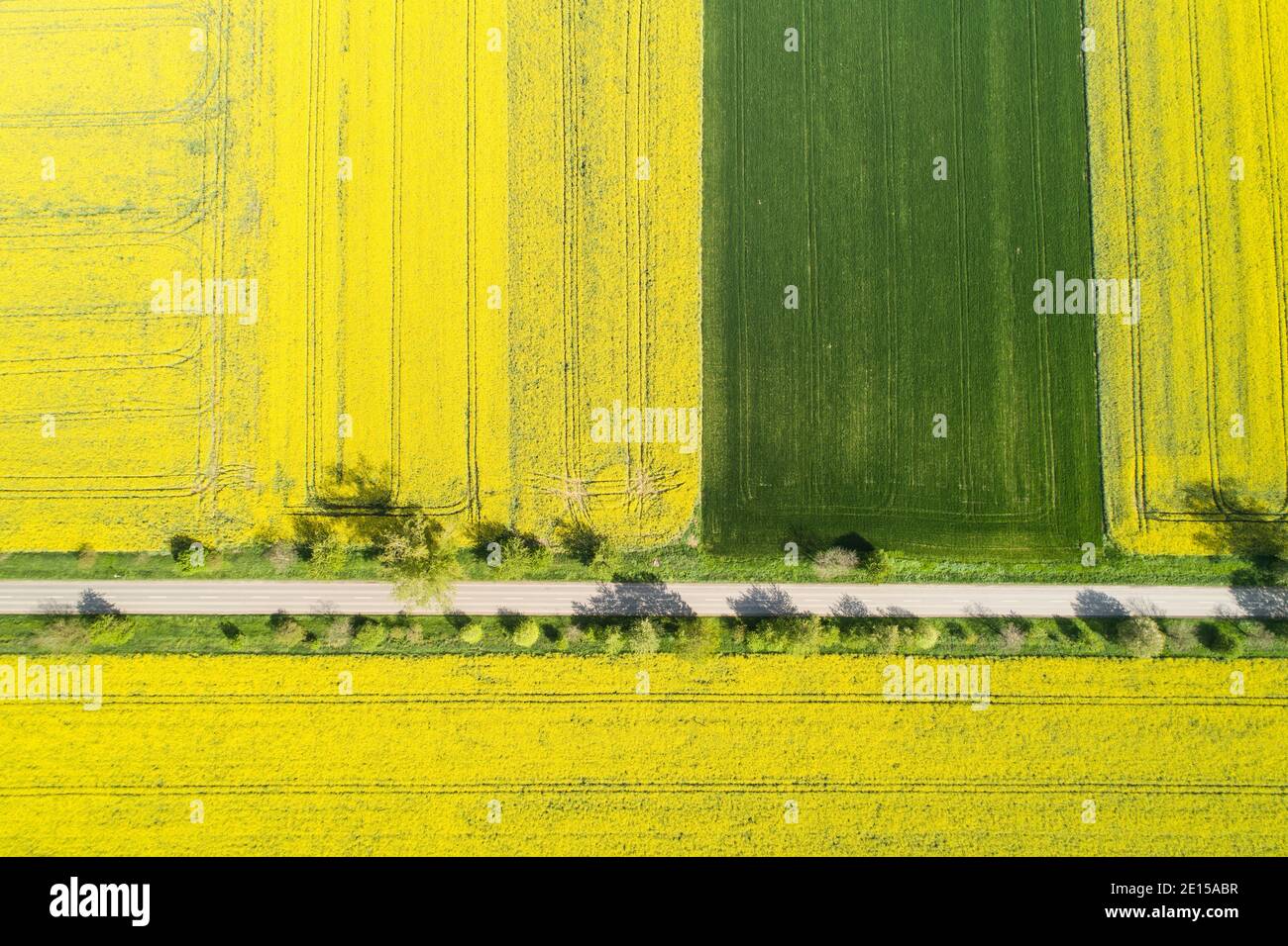 Aerial view of colorful yellow spring crop of canola Stock Photo - Alamy