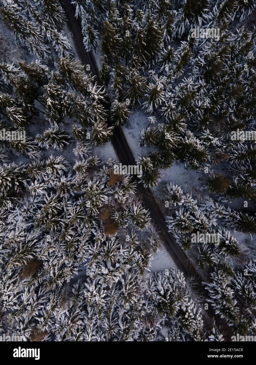 Aerial view of a snowy forest with high pines and road in winter Stock ...
