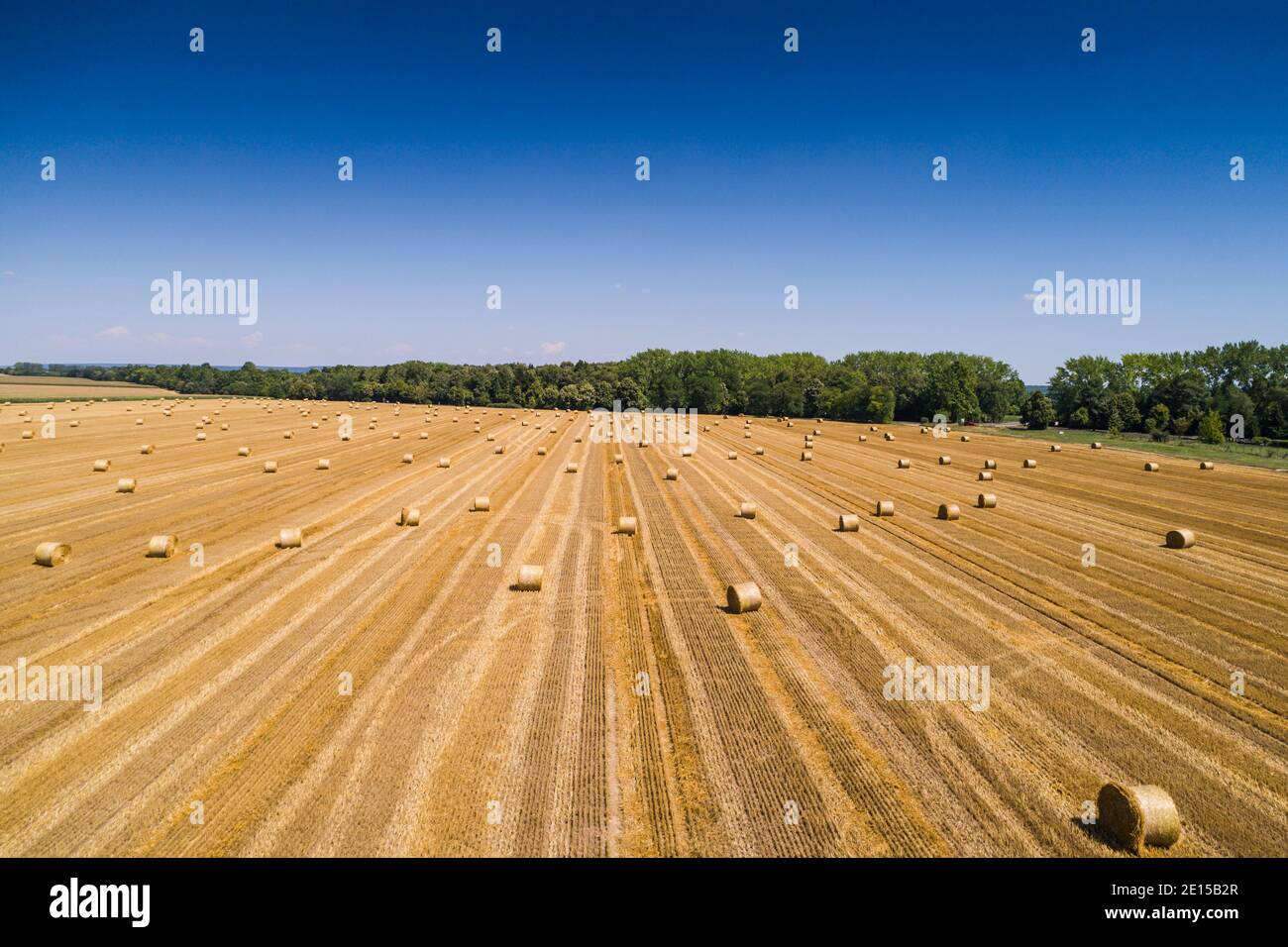 Eye crop circle hi-res stock photography and images - Alamy