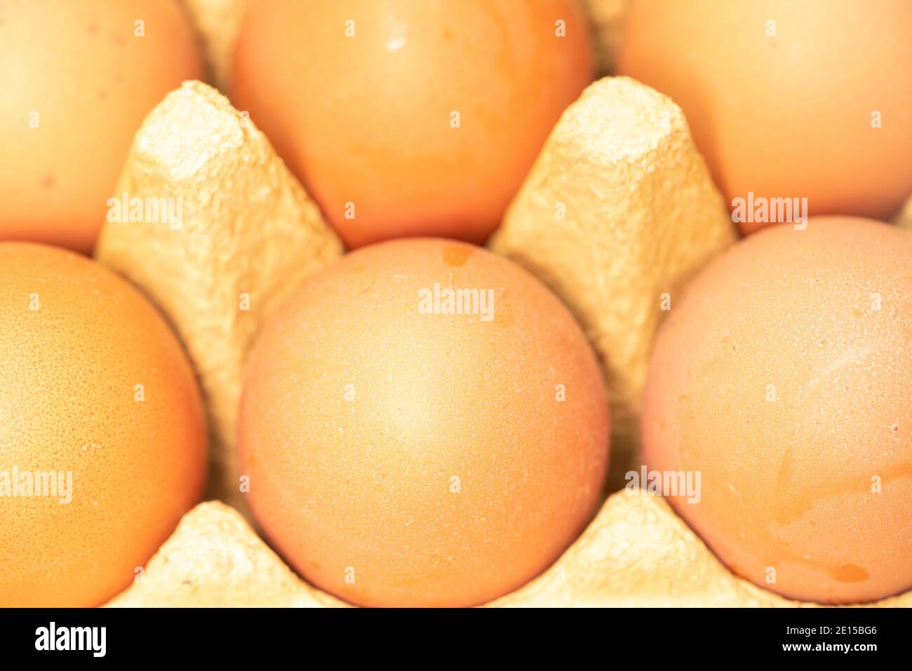 Protein shell hi-res stock photography and images - Alamy