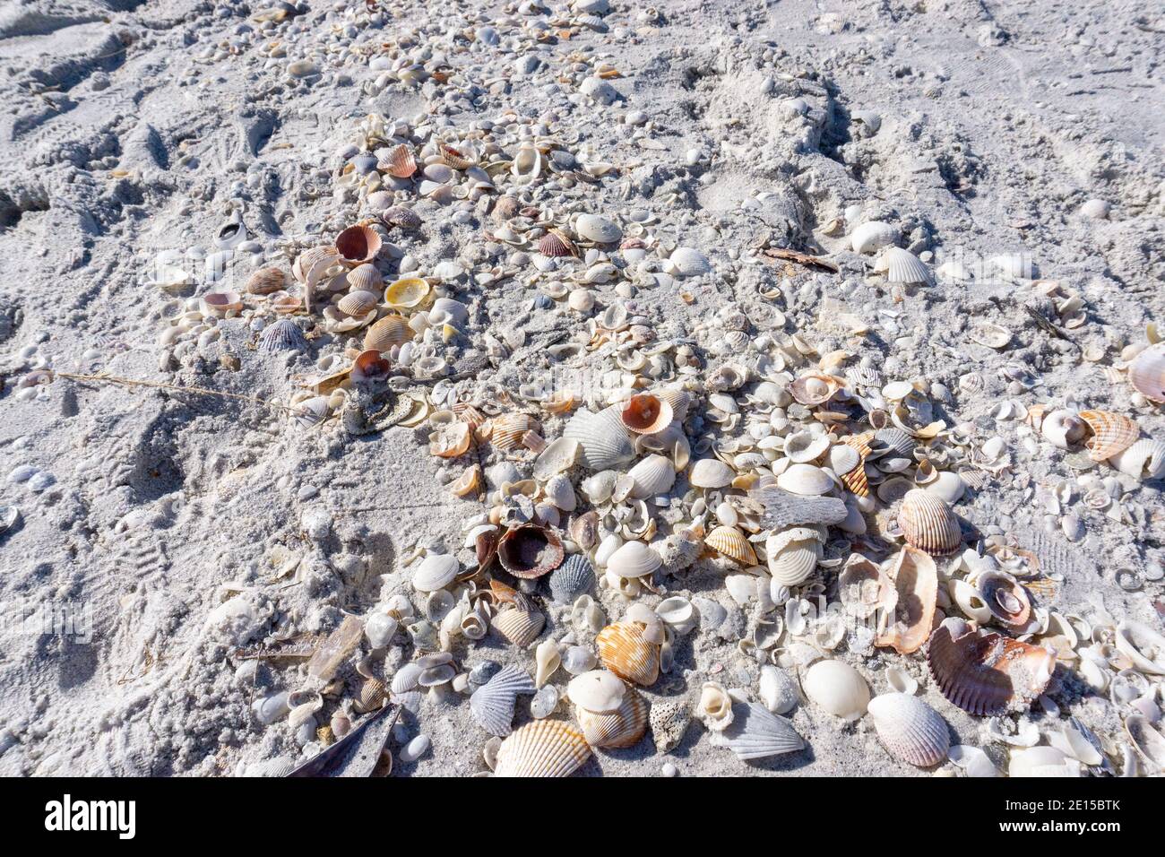 Southwest florida gulf coast hi-res stock photography and images - Alamy