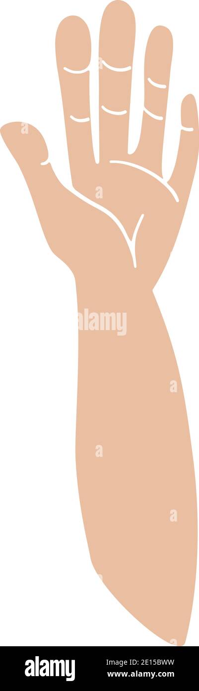 Raised open hand or hand up vector drawing Stock Vector Image & Art - Alamy