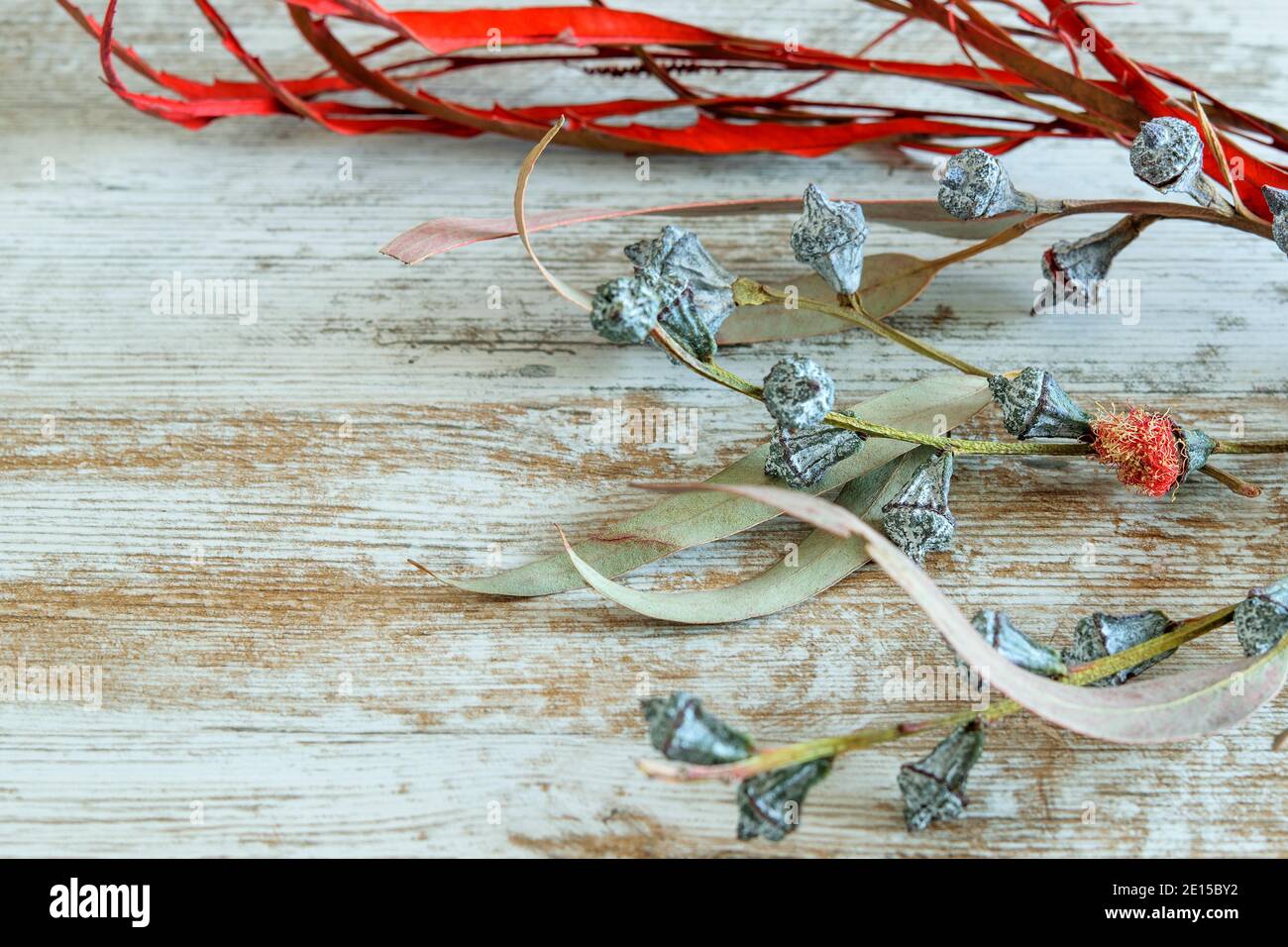 Some branches of eucalyptus on the natural wooden rustic background ...