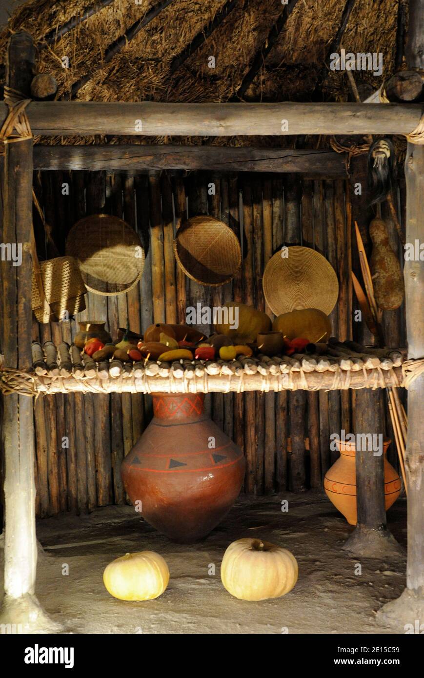 Brazilian amazon tribe hi-res stock photography and images - Alamy