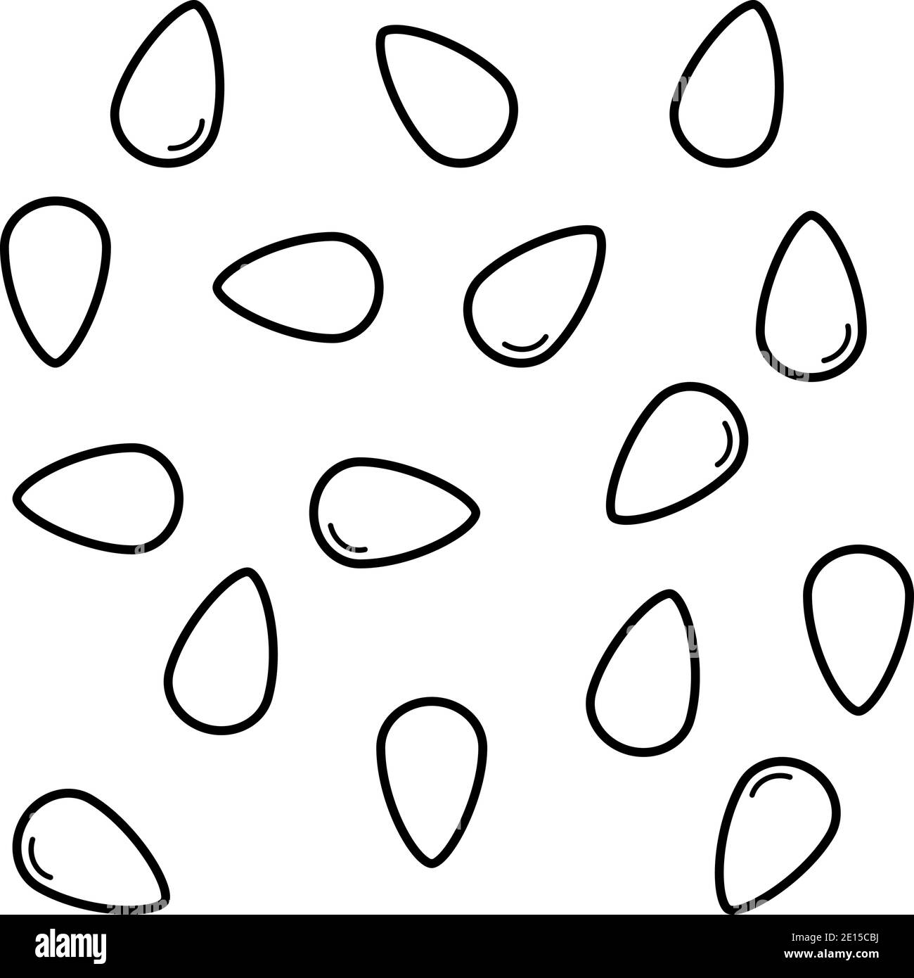 Watermelon Seed Clip Art Black And White