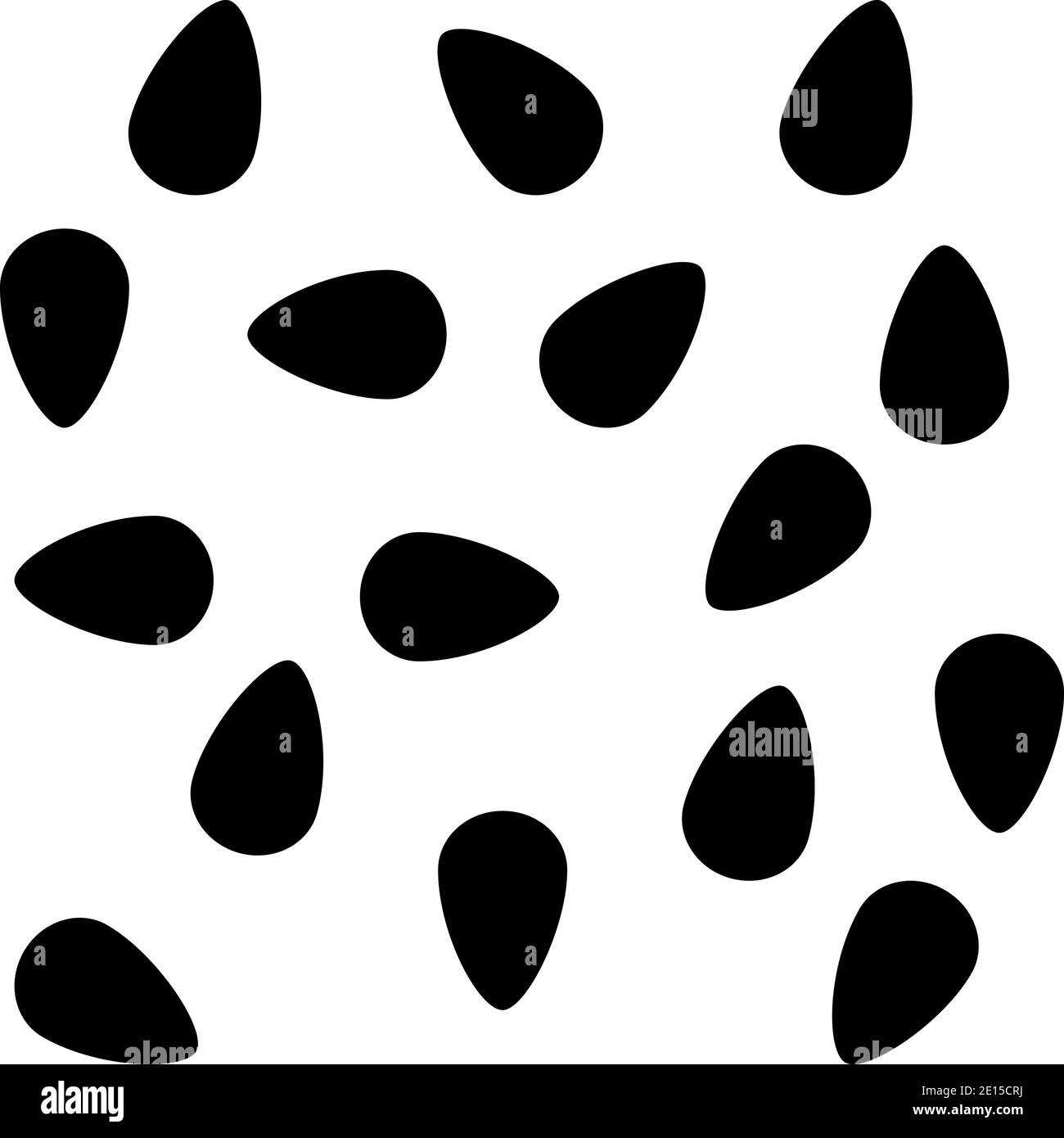 Watermelon Seed Clip Art Black And White