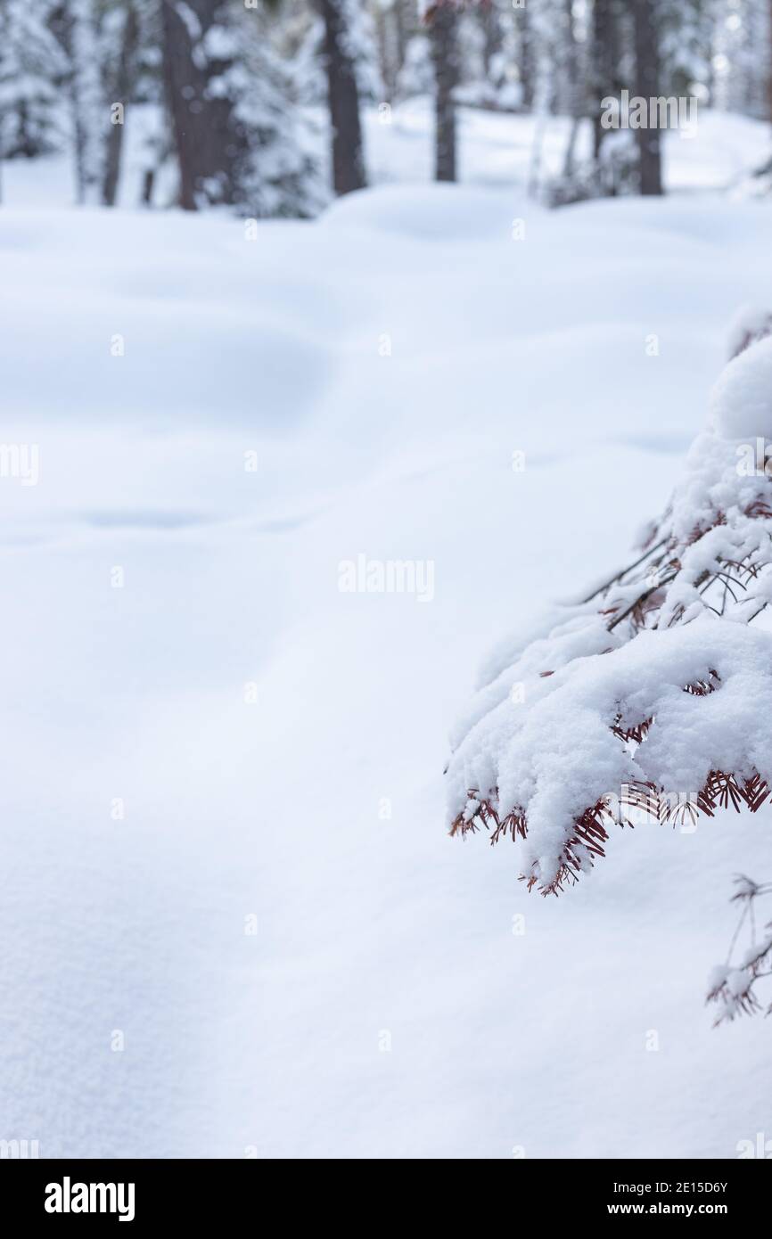 Snow background no tree hi-res stock photography and images - Alamy