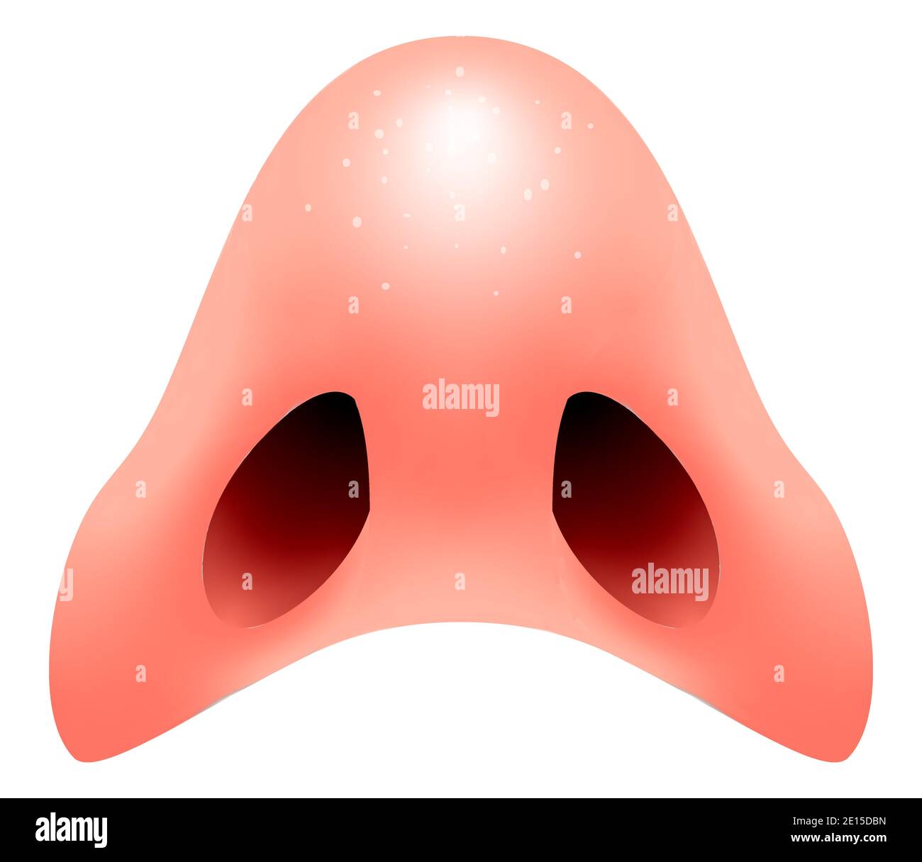 Vector nose in gradient style Stock Vector Image & Art - Alamy