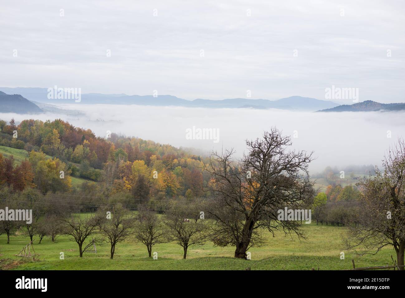Beautiful natural landscape in the summer time Stock Photo - Alamy