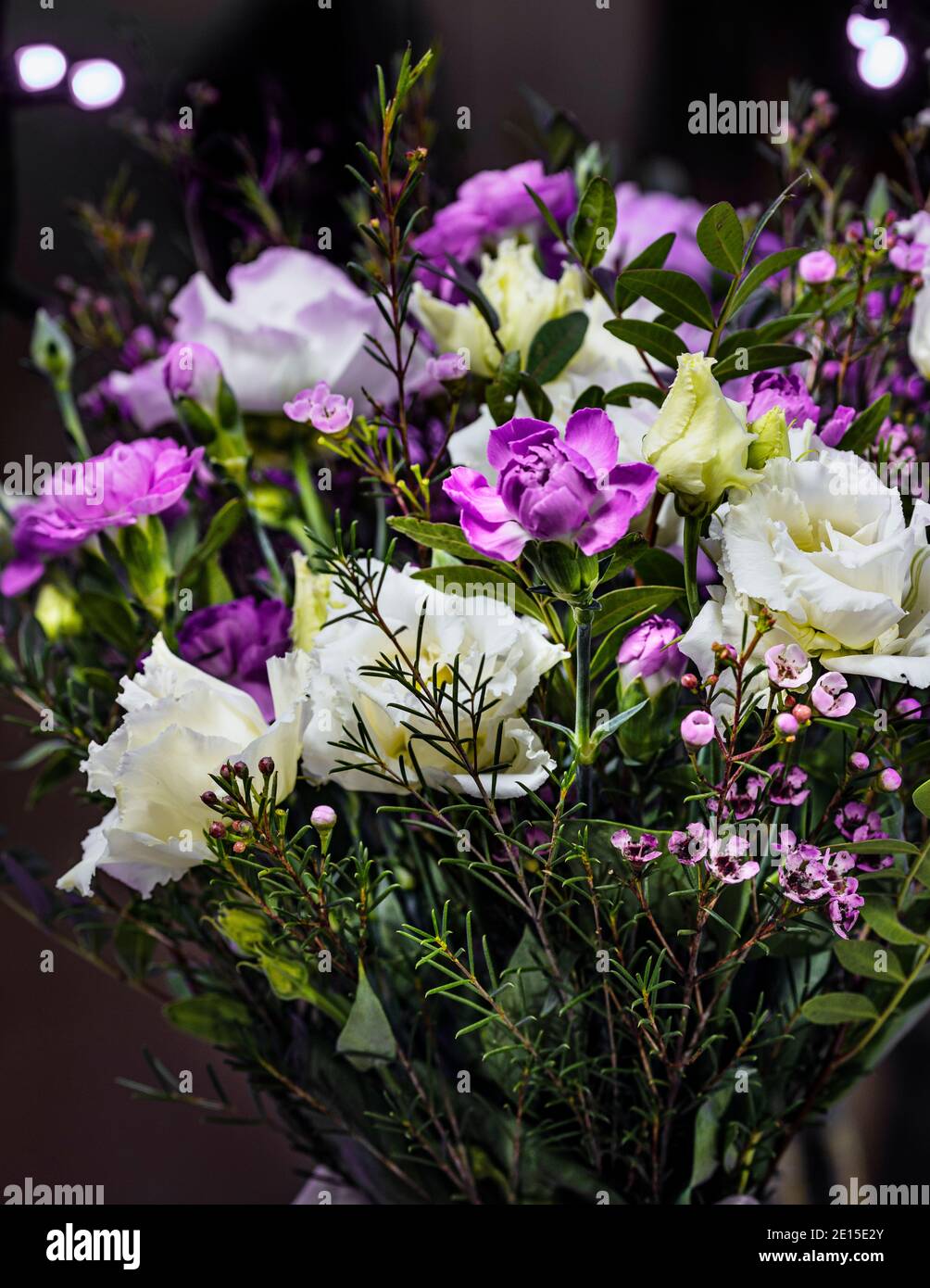 Eustoma grandiflorum japan hi-res stock photography and images - Alamy
