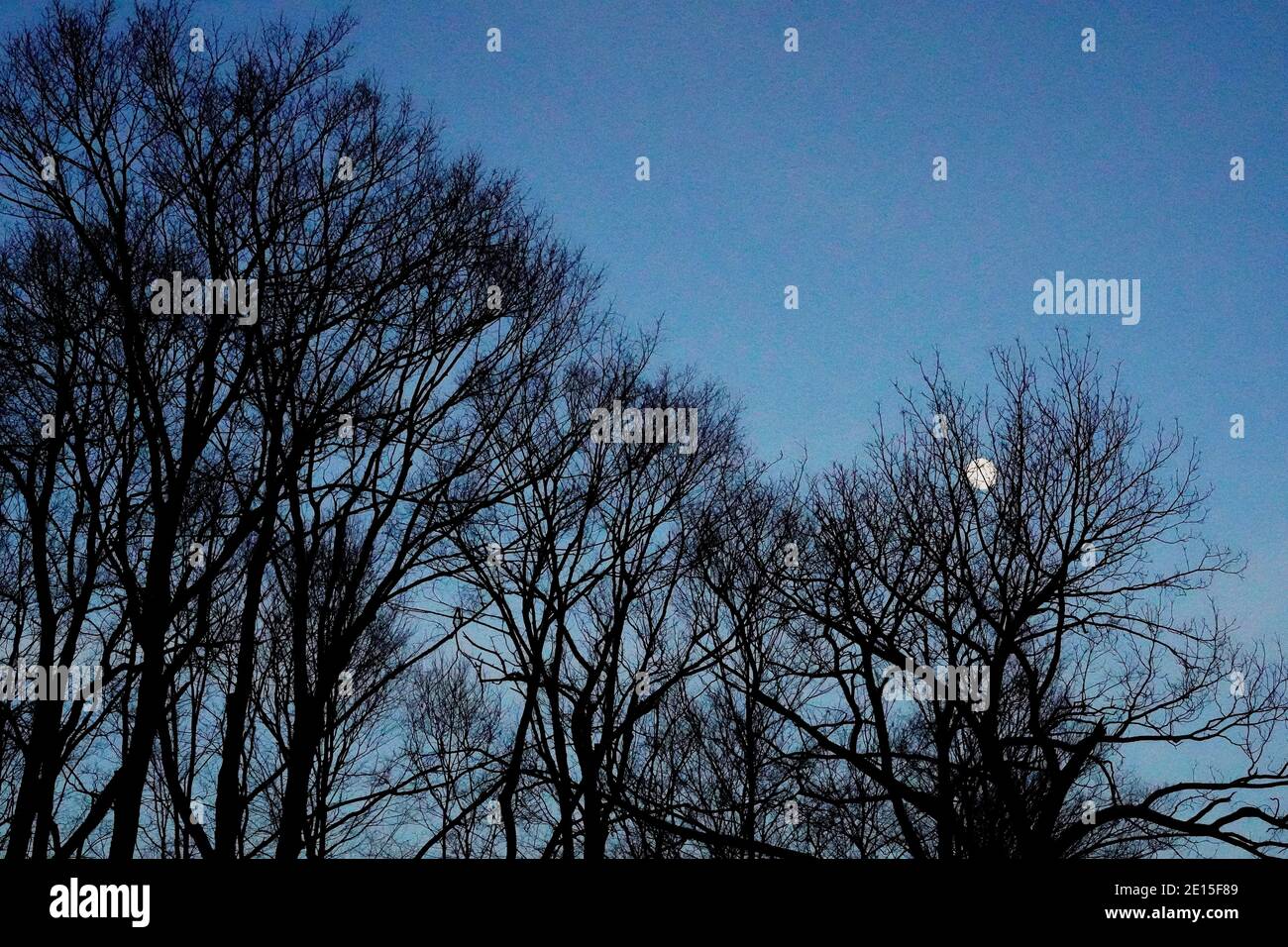 Full Moon at Dusk Stock Photo - Alamy