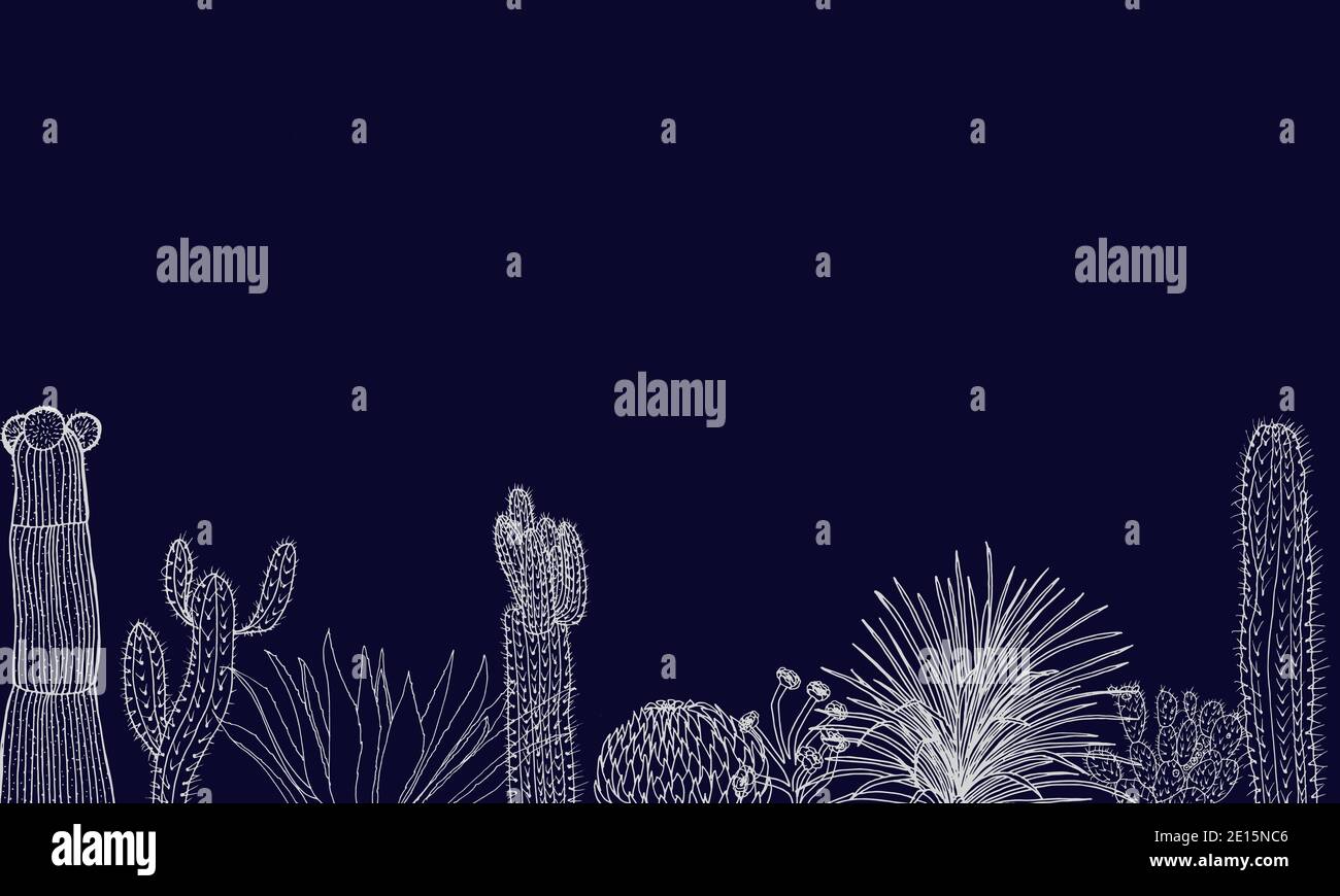 Poster with cacti and succulents on a dark background. Ornament in ...