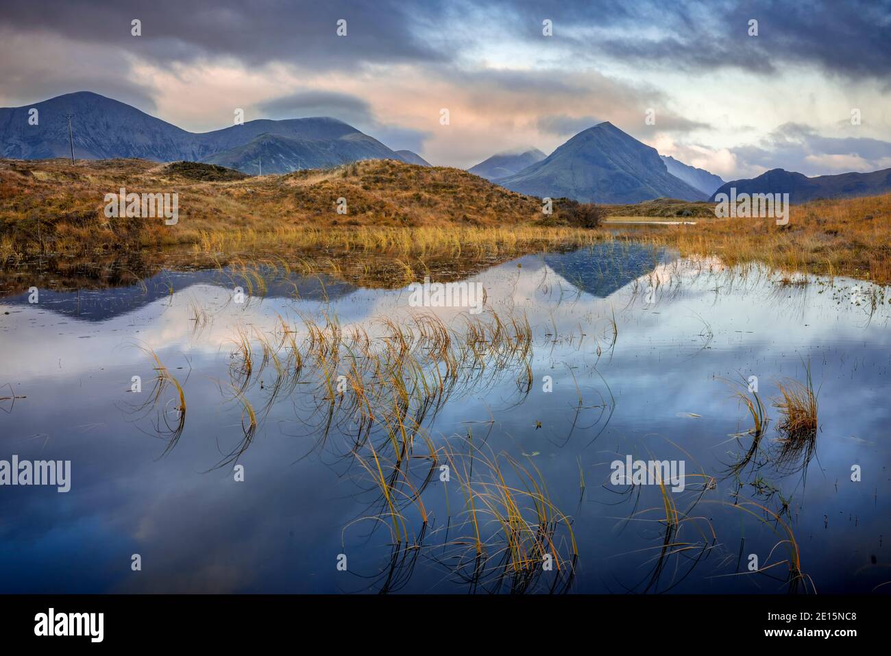 Terry dreary hi-res stock photography and images - Alamy