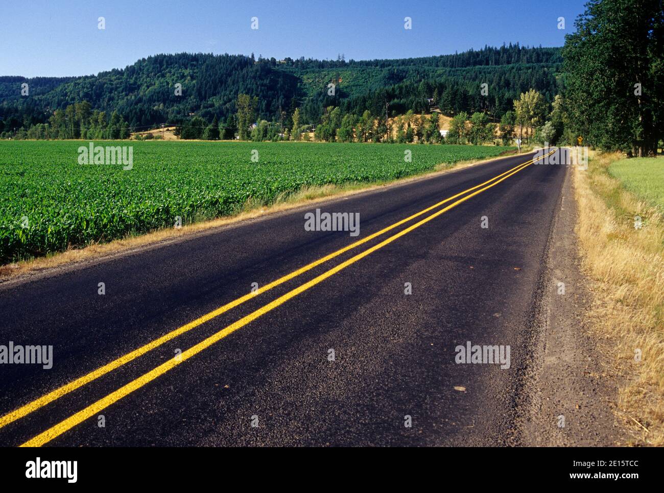 Country road with covered bridge hi-res stock photography and images ...