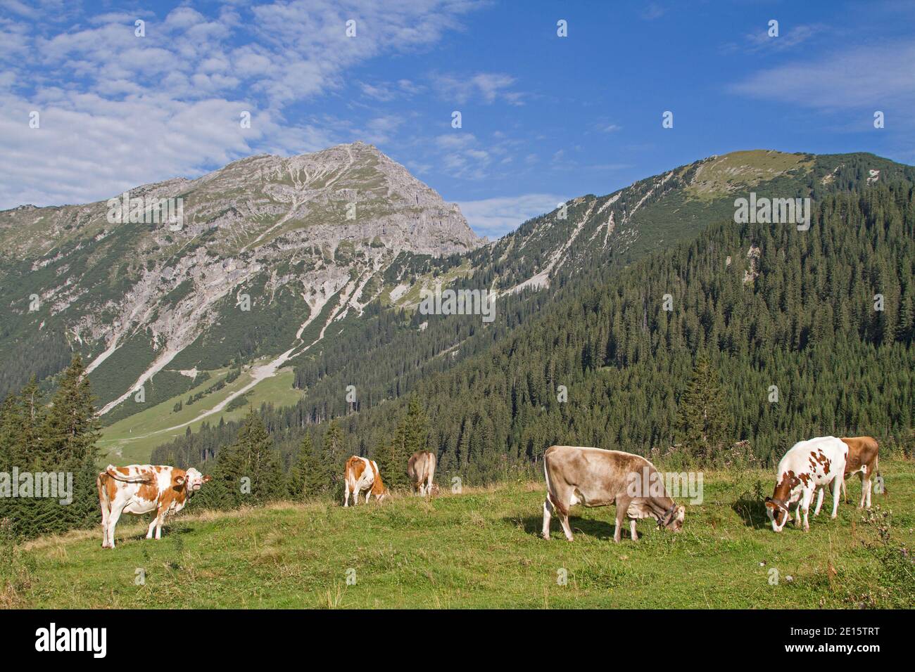 Berwanger valley hi-res stock photography and images - Alamy
