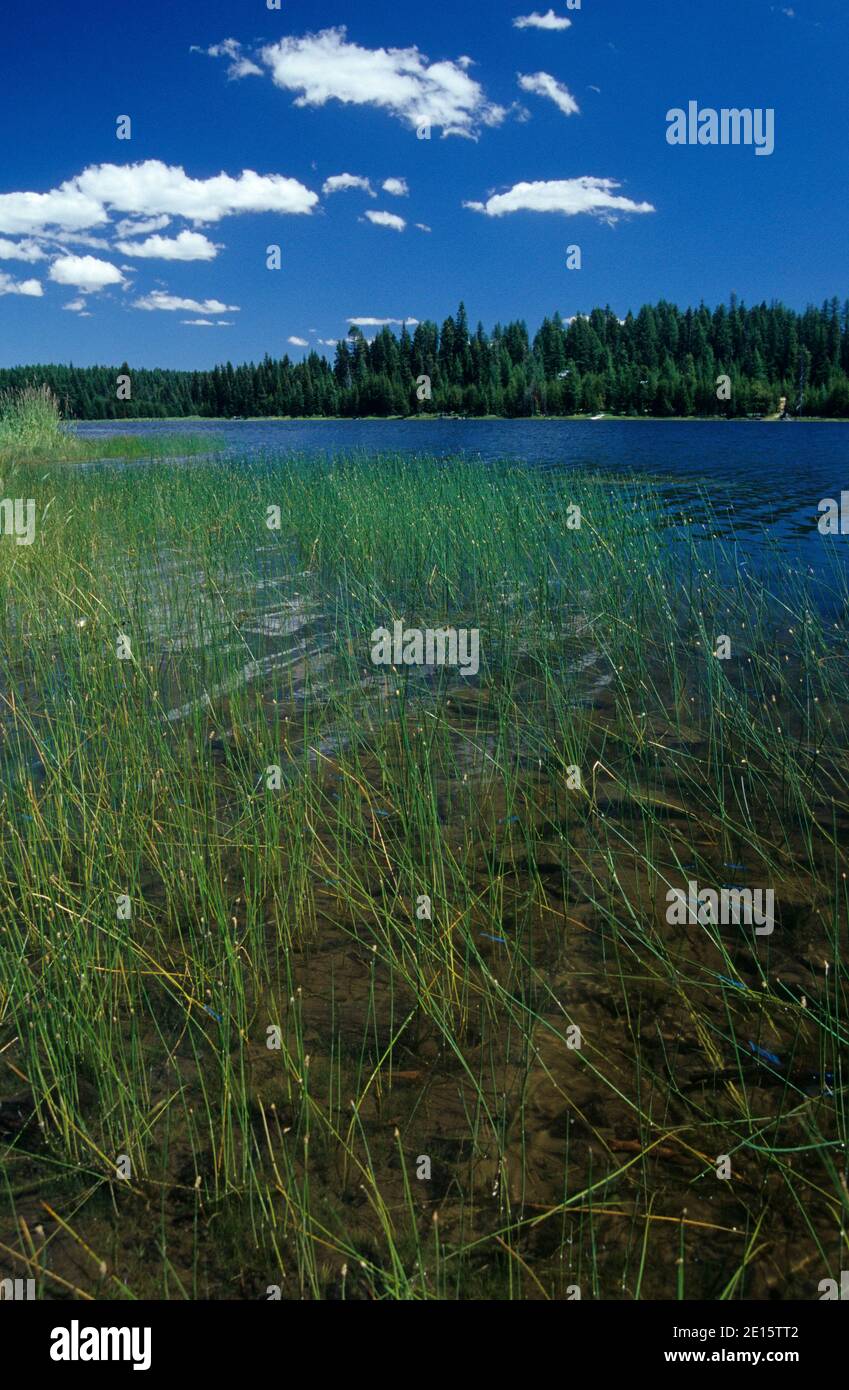 Penland hi-res stock photography and images - Alamy