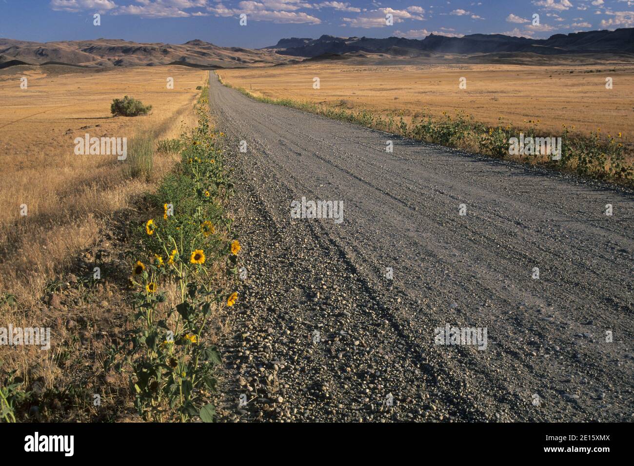 Vale oregon hi-res stock photography and images - Alamy