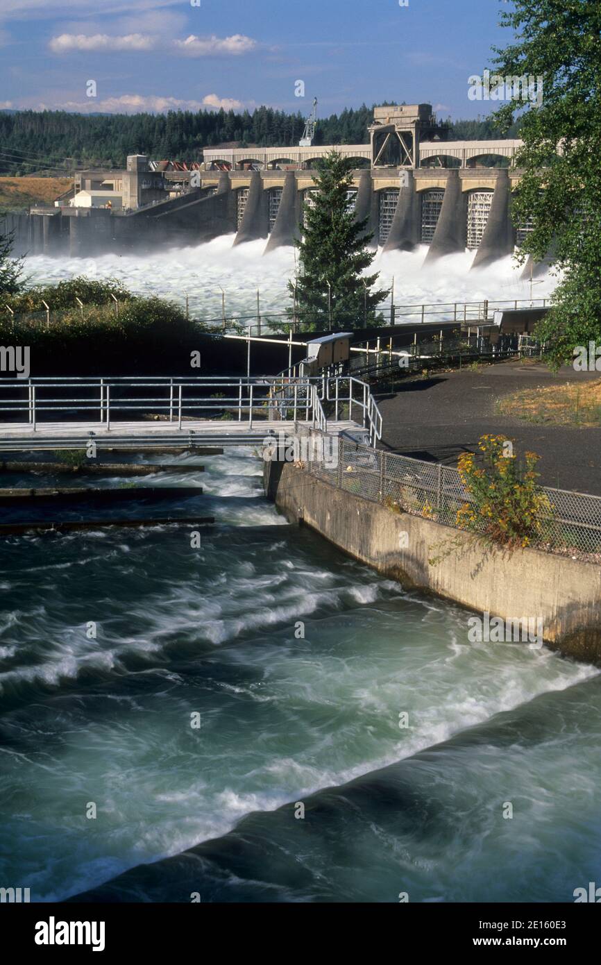Bonneville Dam and fish ladder, Columbia River Gorge National Scenic ...