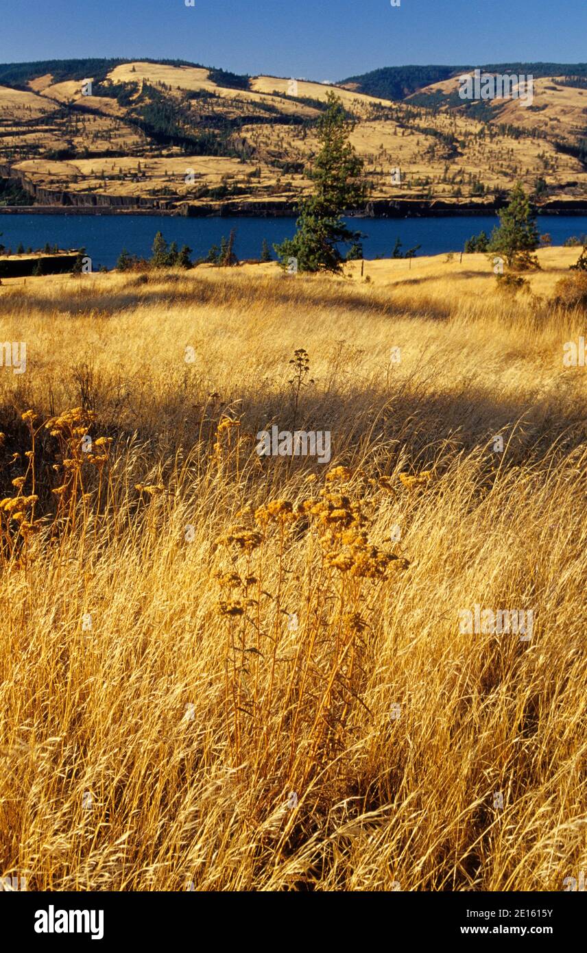 Ranchland on Rowena Crest, Columbia River Gorge National Scenic Area ...