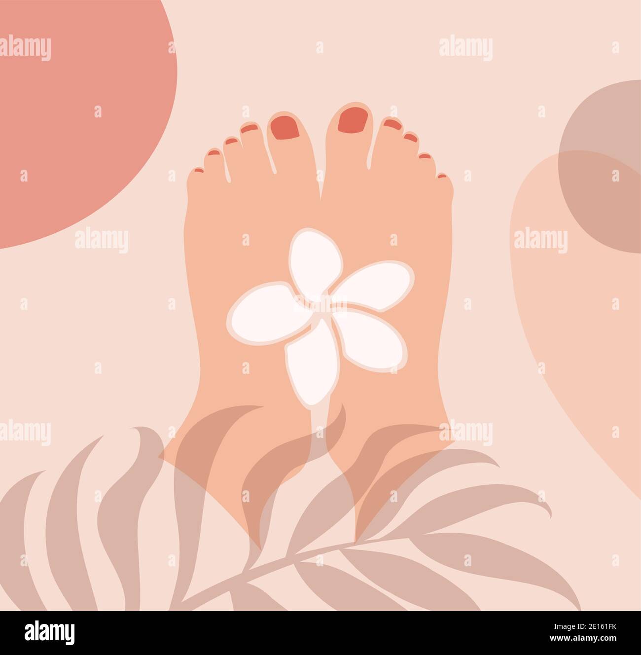 Delicate feet Stock Vector Images - Alamy