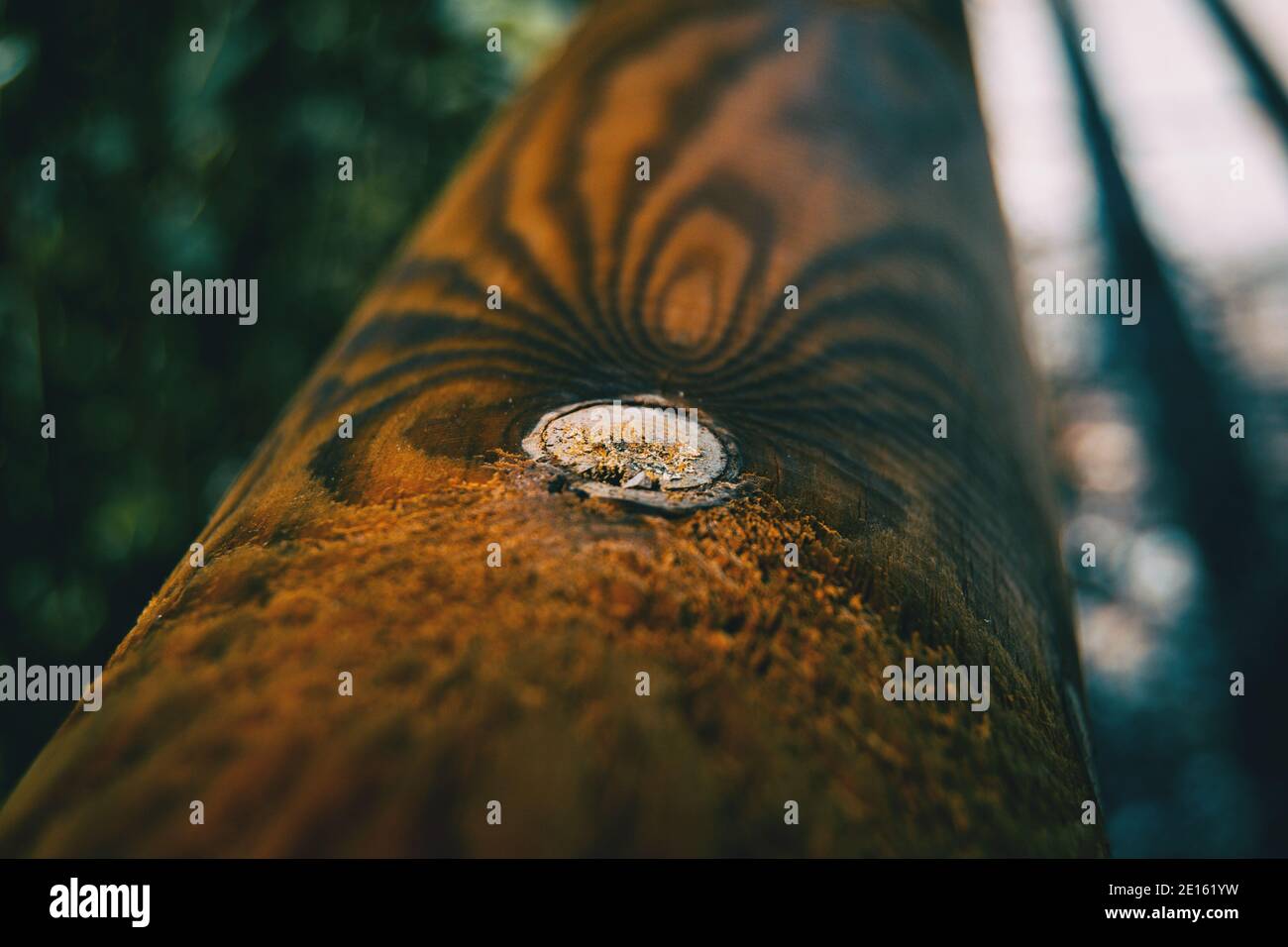 round wooden plank of a fence Stock Photo - Alamy