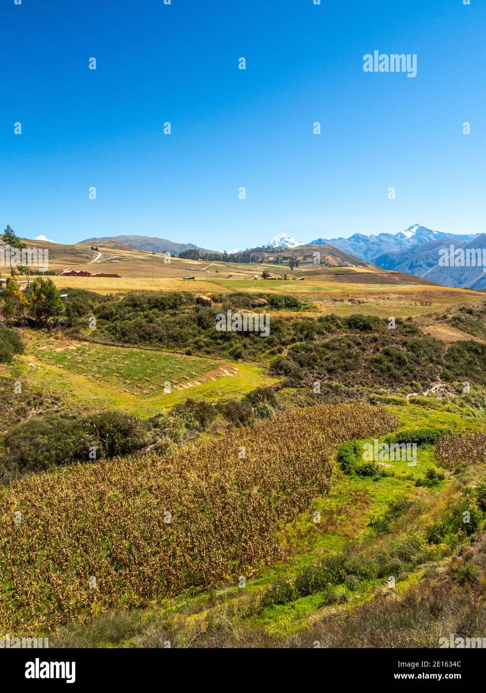 Cruz inca hi-res stock photography and images - Alamy