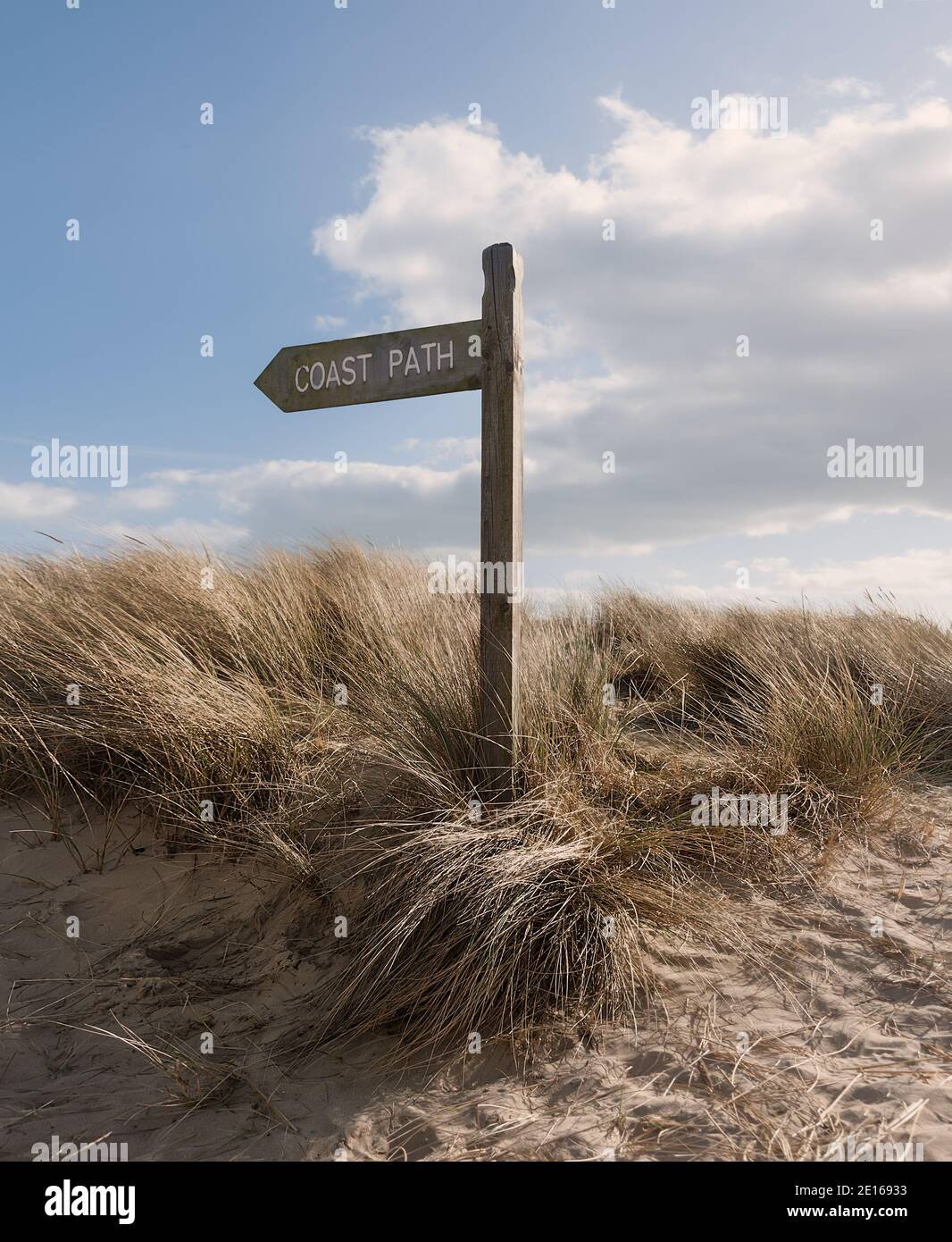 Wooden Coast Path sign on beach dune with Marram grass Stock Photo - Alamy