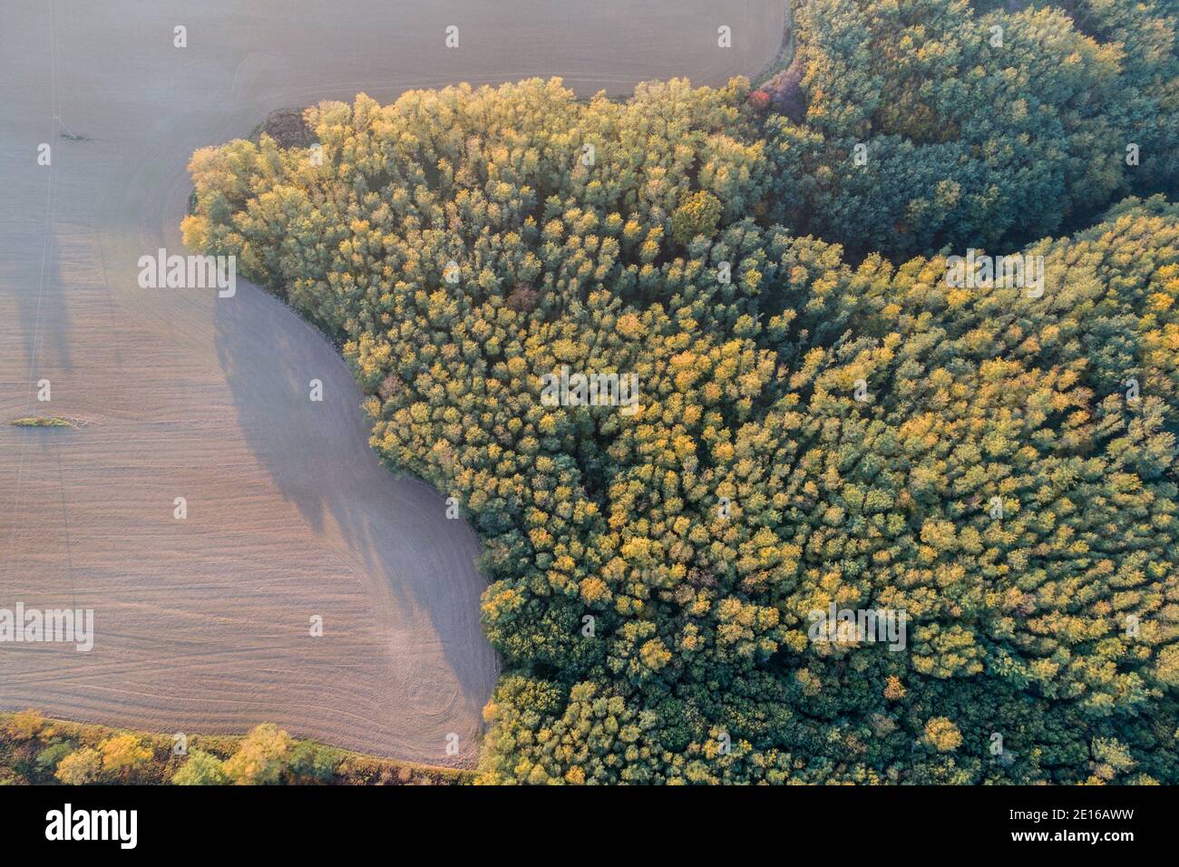 Redwood Forest Aerial High Resolution Stock Photography and Images - Alamy
