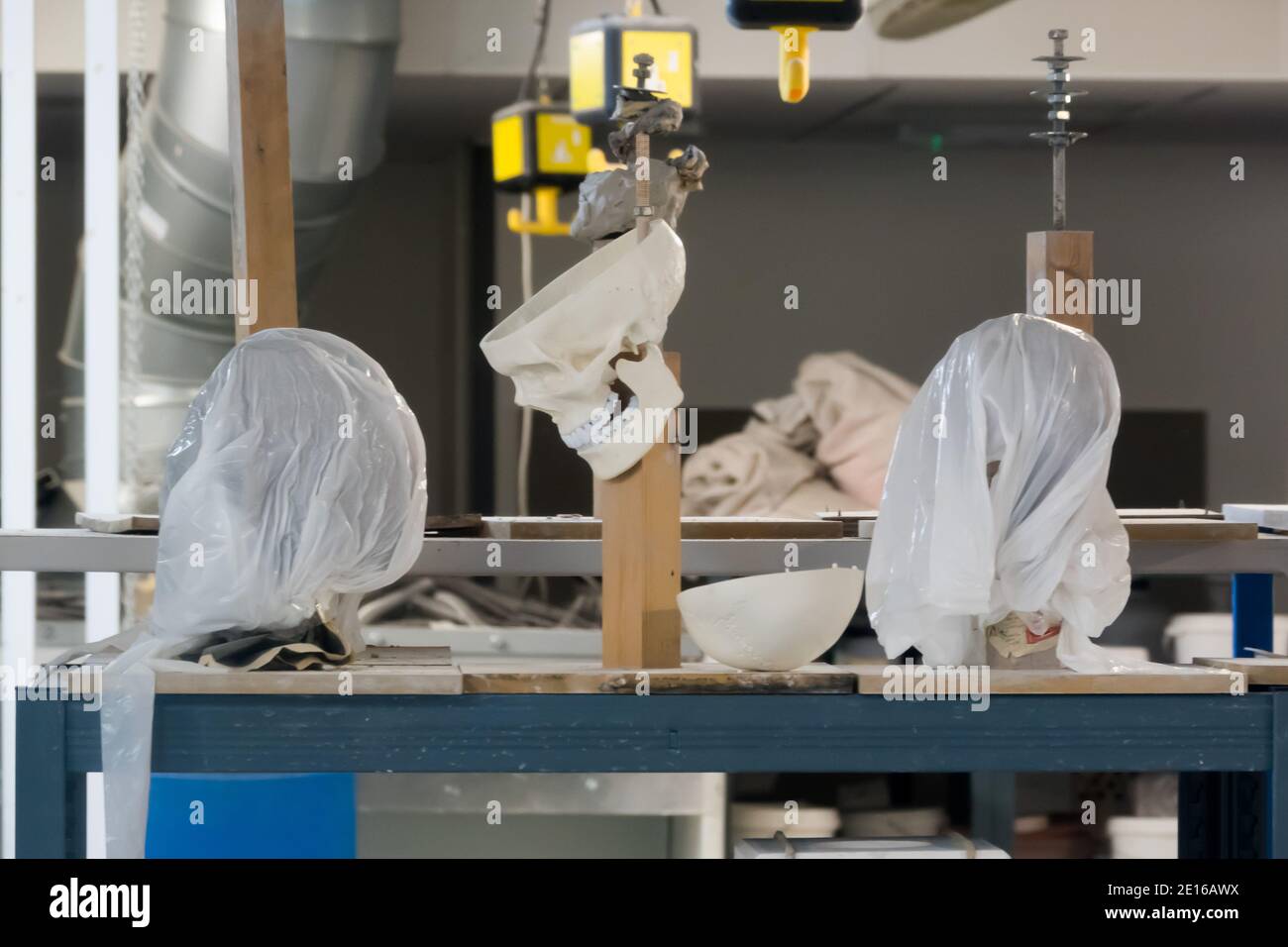 Human skull cast replicas being manufactured in a workshop Stock Photo ...
