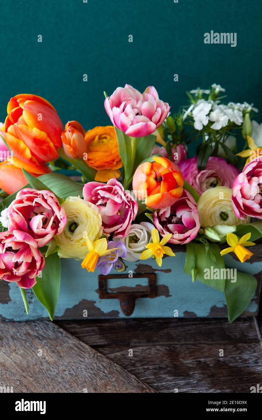 Colorful Spring Flowers Stock Photo - Alamy