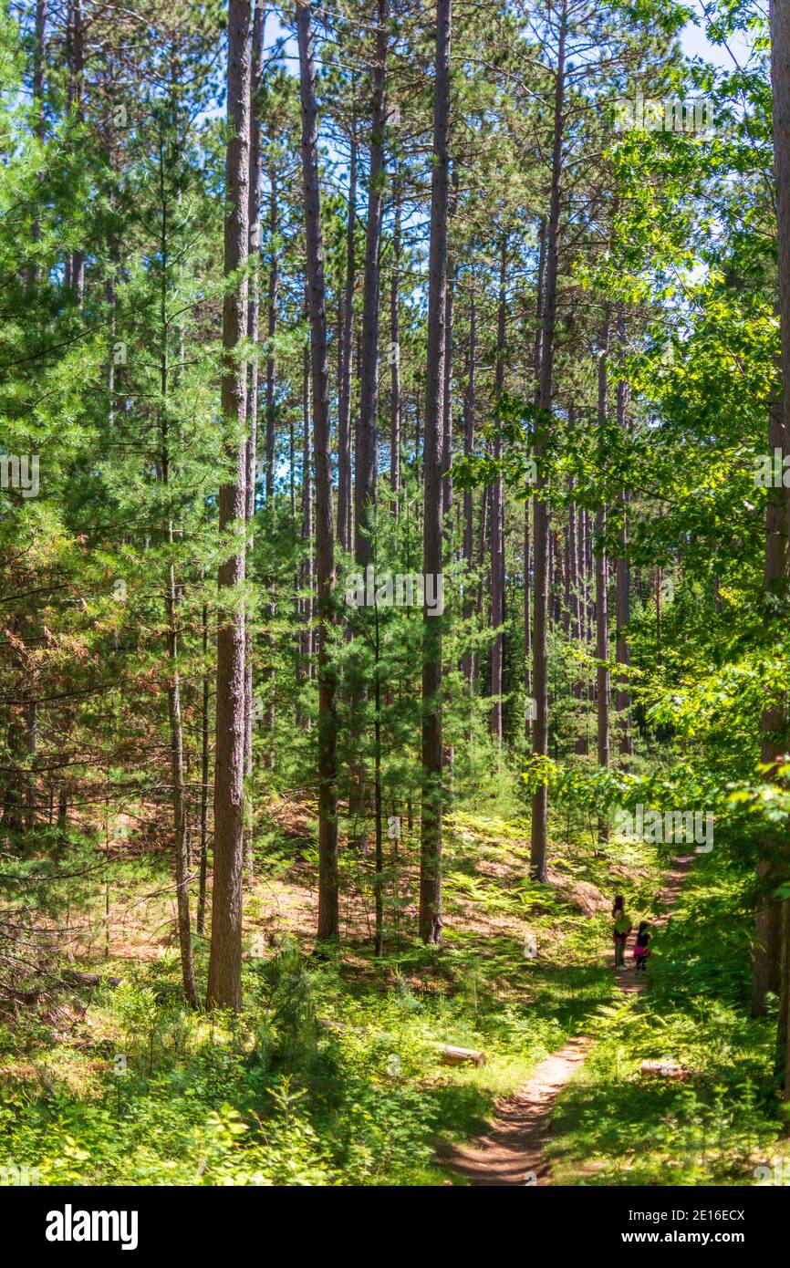 Wonder lake trail hi-res stock photography and images - Alamy