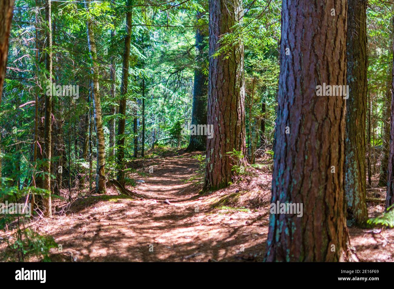 Wisconsin countryside hi-res stock photography and images - Alamy