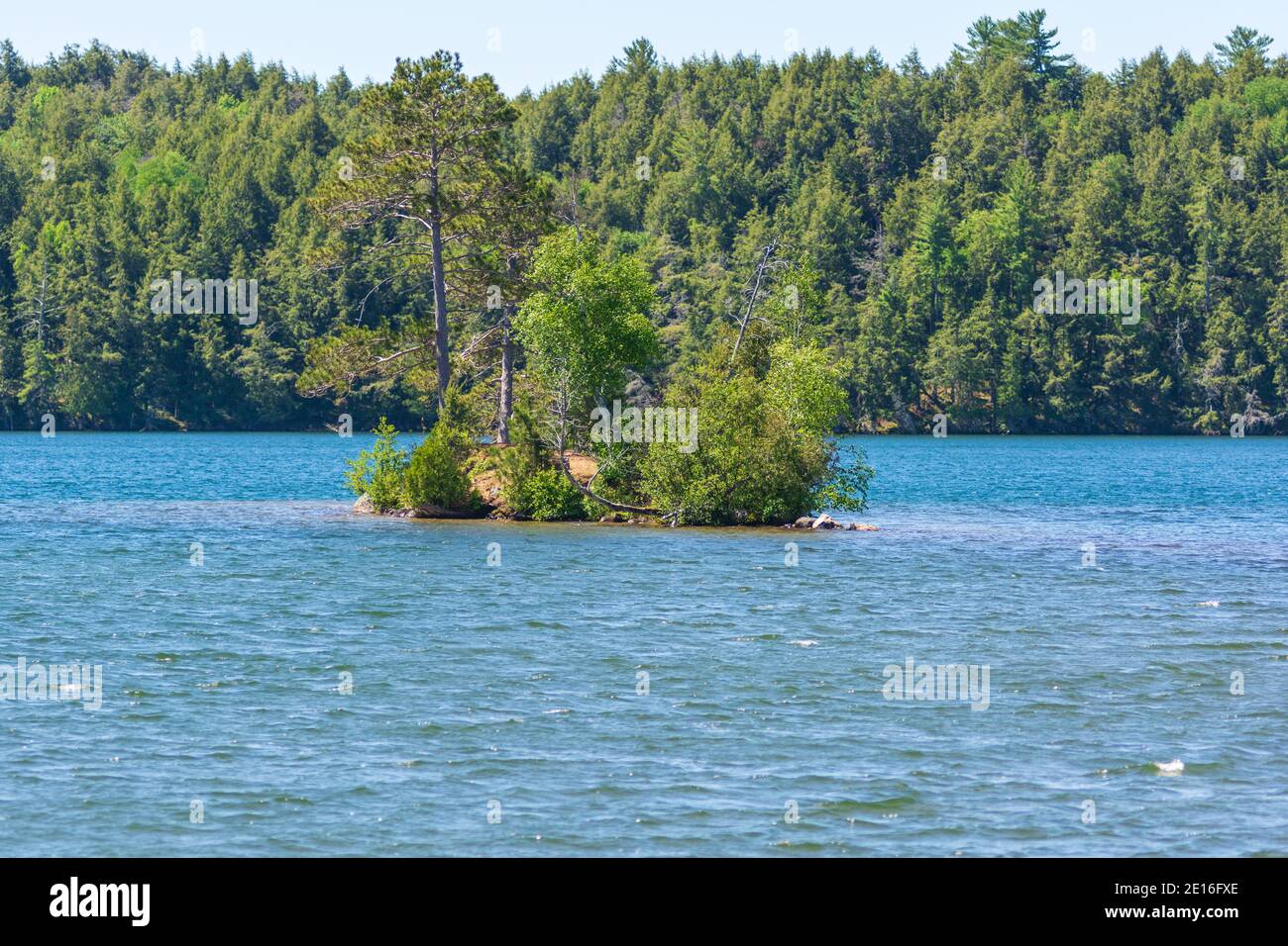 Cute waves hi-res stock photography and images - Alamy