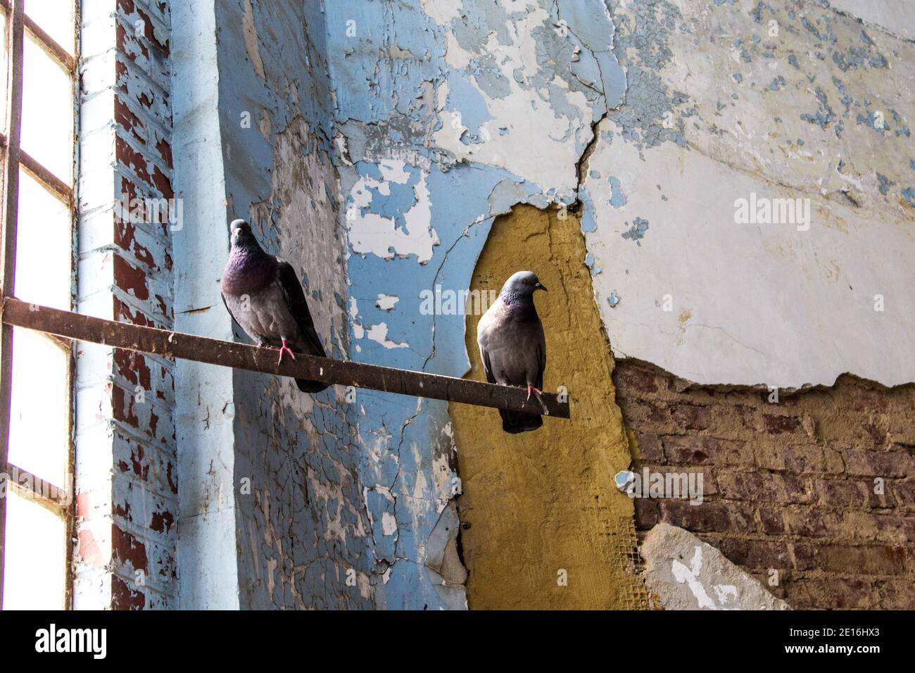 The pigeon roost hi-res stock photography and images - Alamy