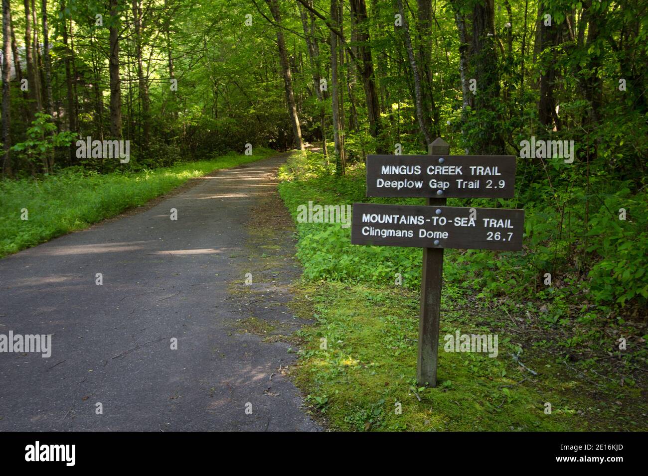 Hiking In The Great Smoky Mountains. Mile marker sign on trailhead in ...