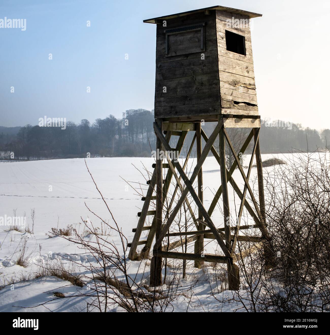 Huntsman stand hi-res stock photography and images - Alamy