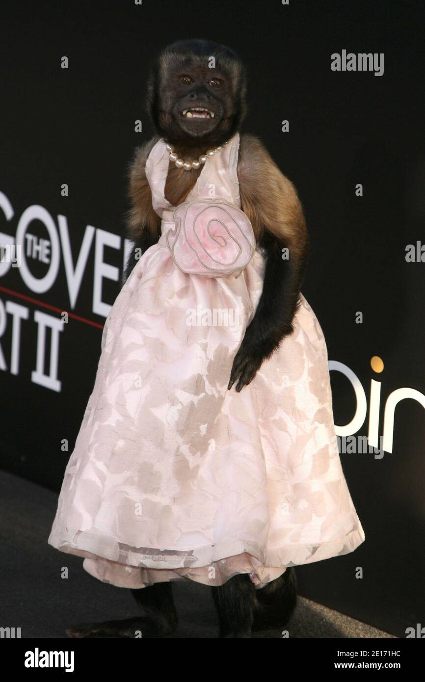 Monkey arriving for the premiere of "The Hangover Part II" held at ...