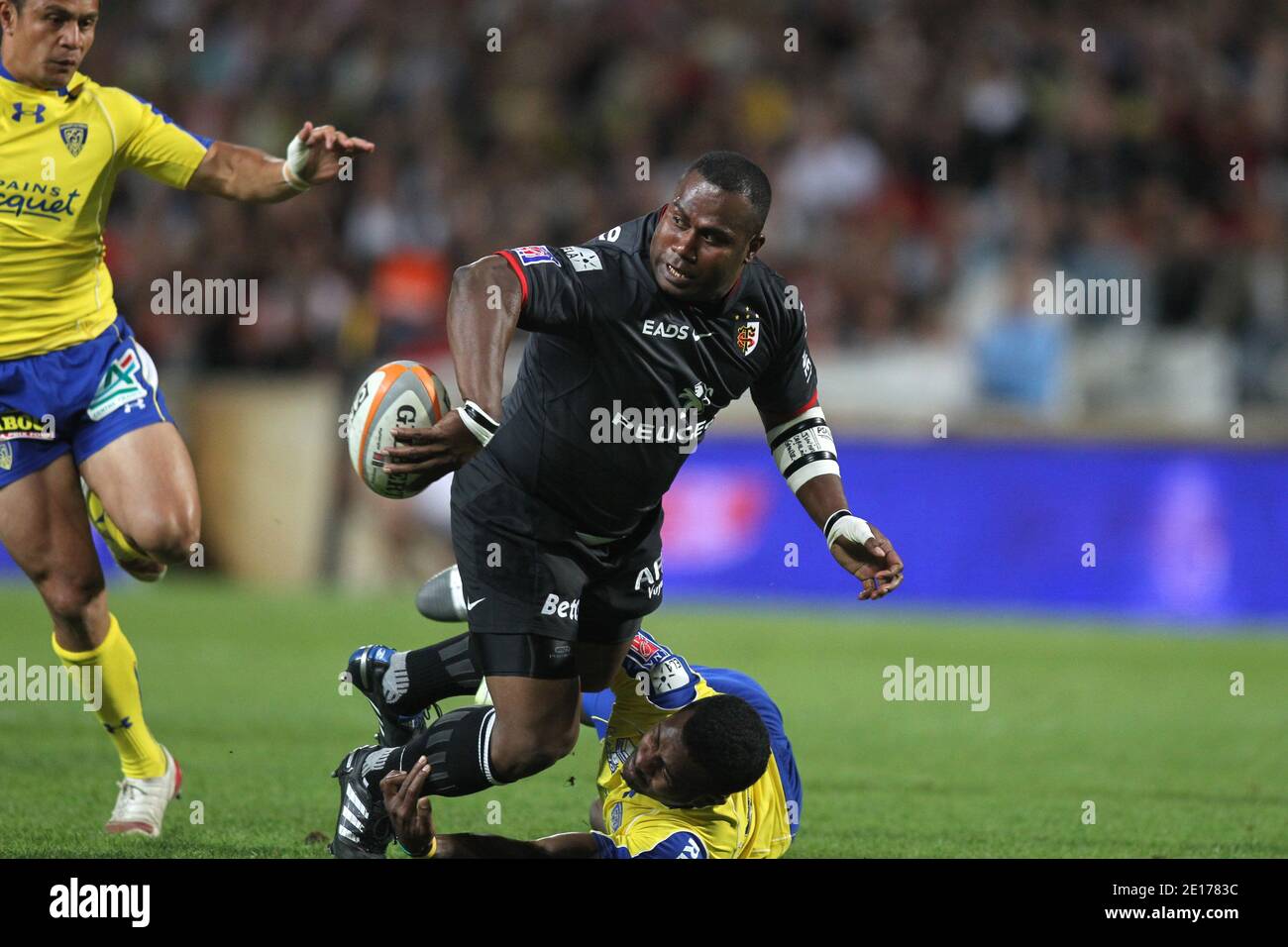 Rupeni caucaunibuca of toulouse hi-res stock photography and images - Alamy